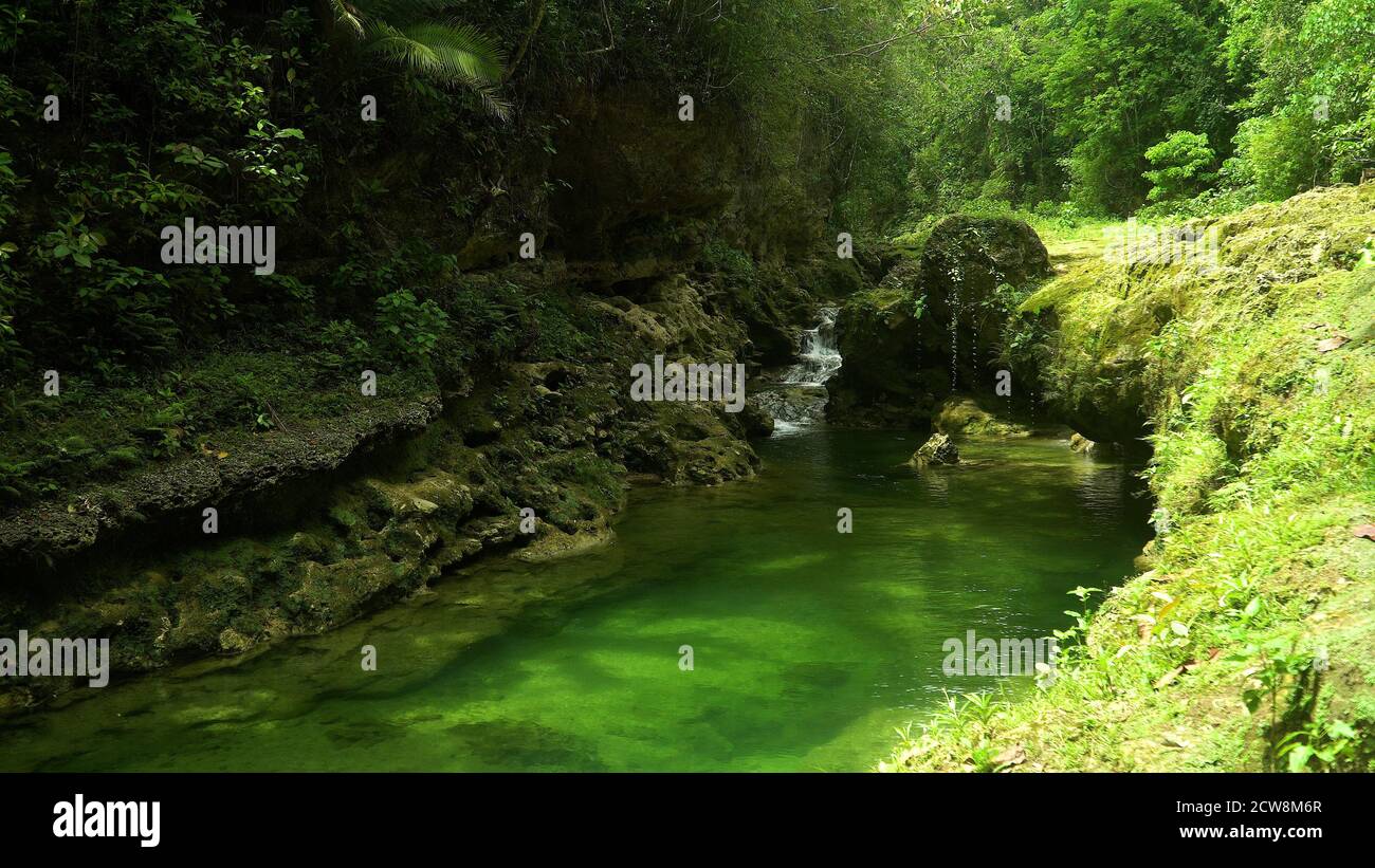 Beautiful natural scenery of river in tropical green forest. Bohol ...