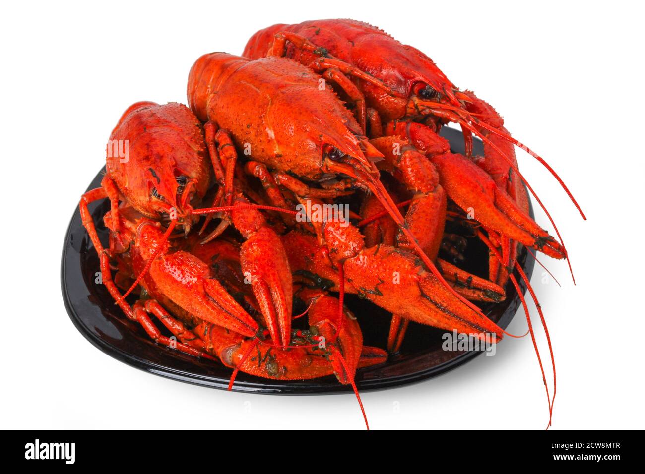 Red boiled crayfish on black porcelain plate isolated on white ...