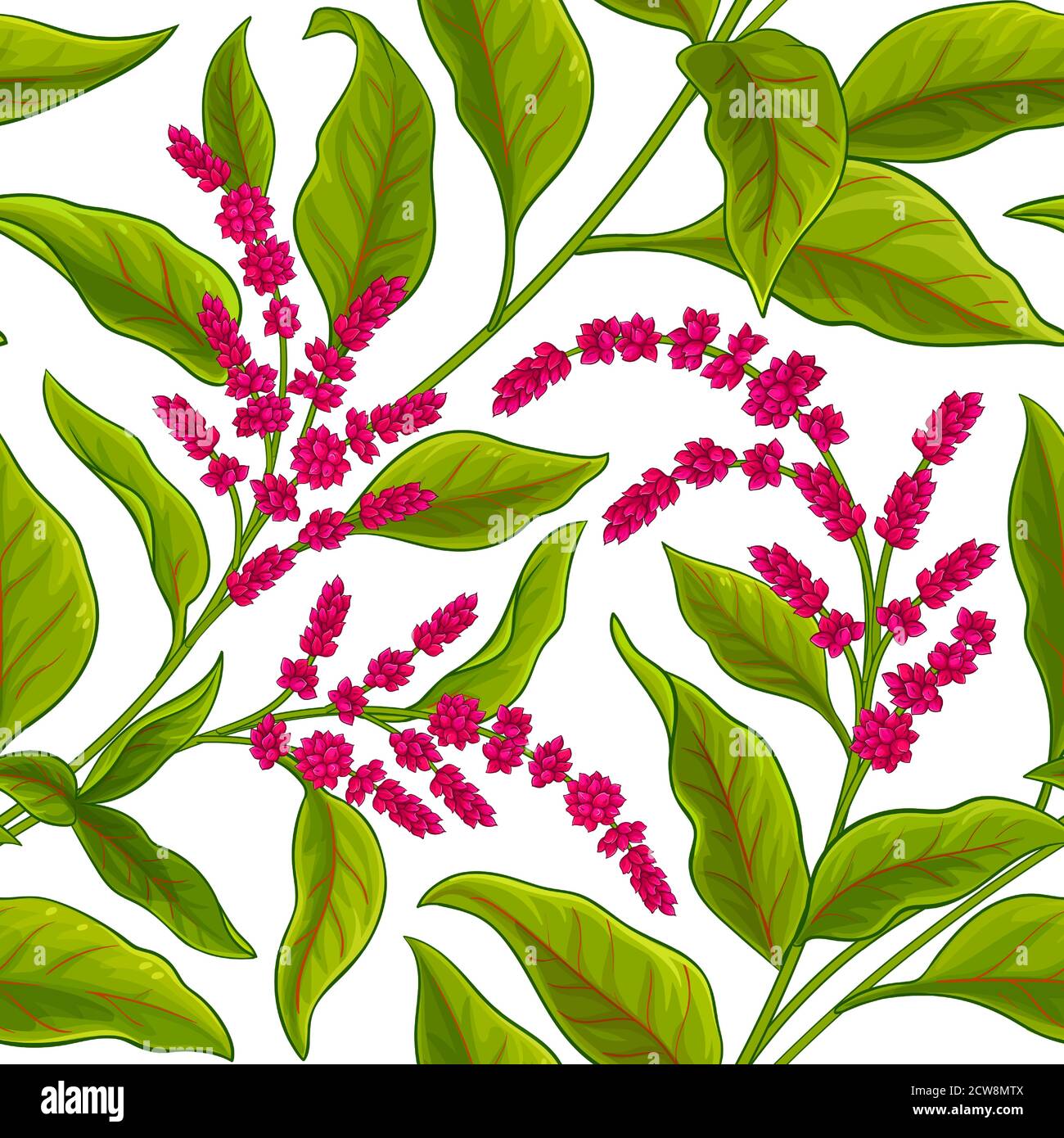 amaranth vector pattern Stock Vector Image & Art - Alamy