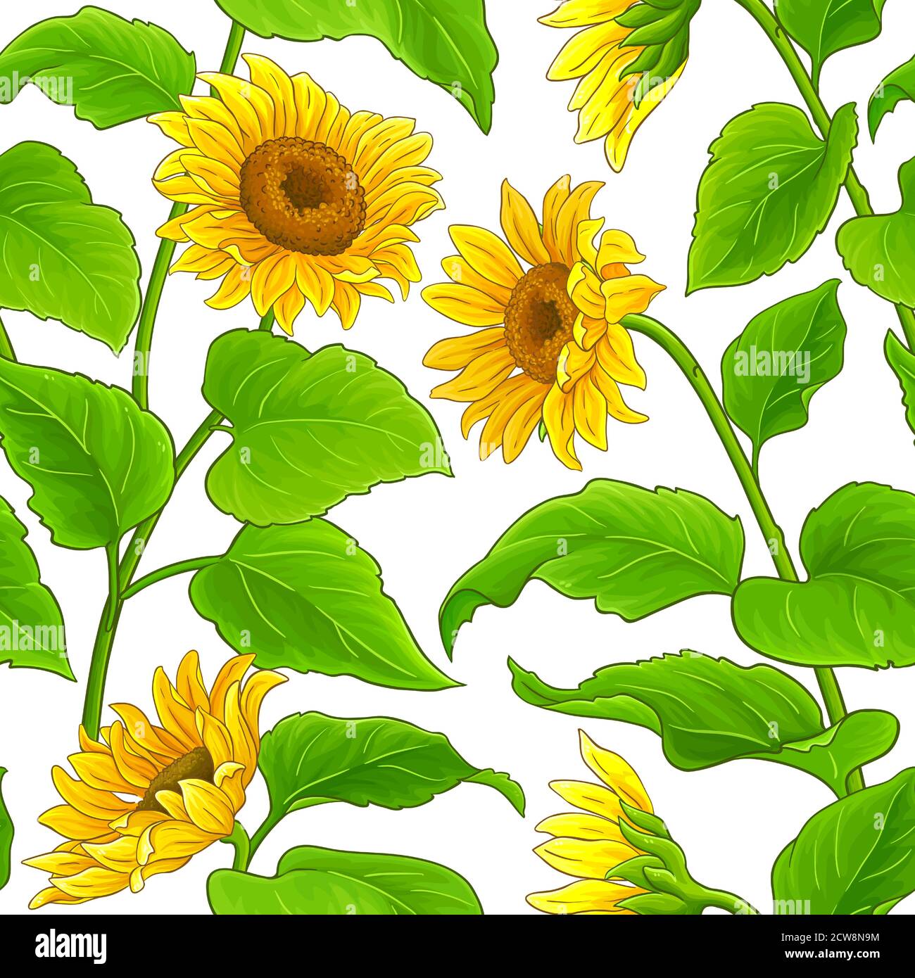 sunflower vector pattern Stock Vector Image & Art - Alamy