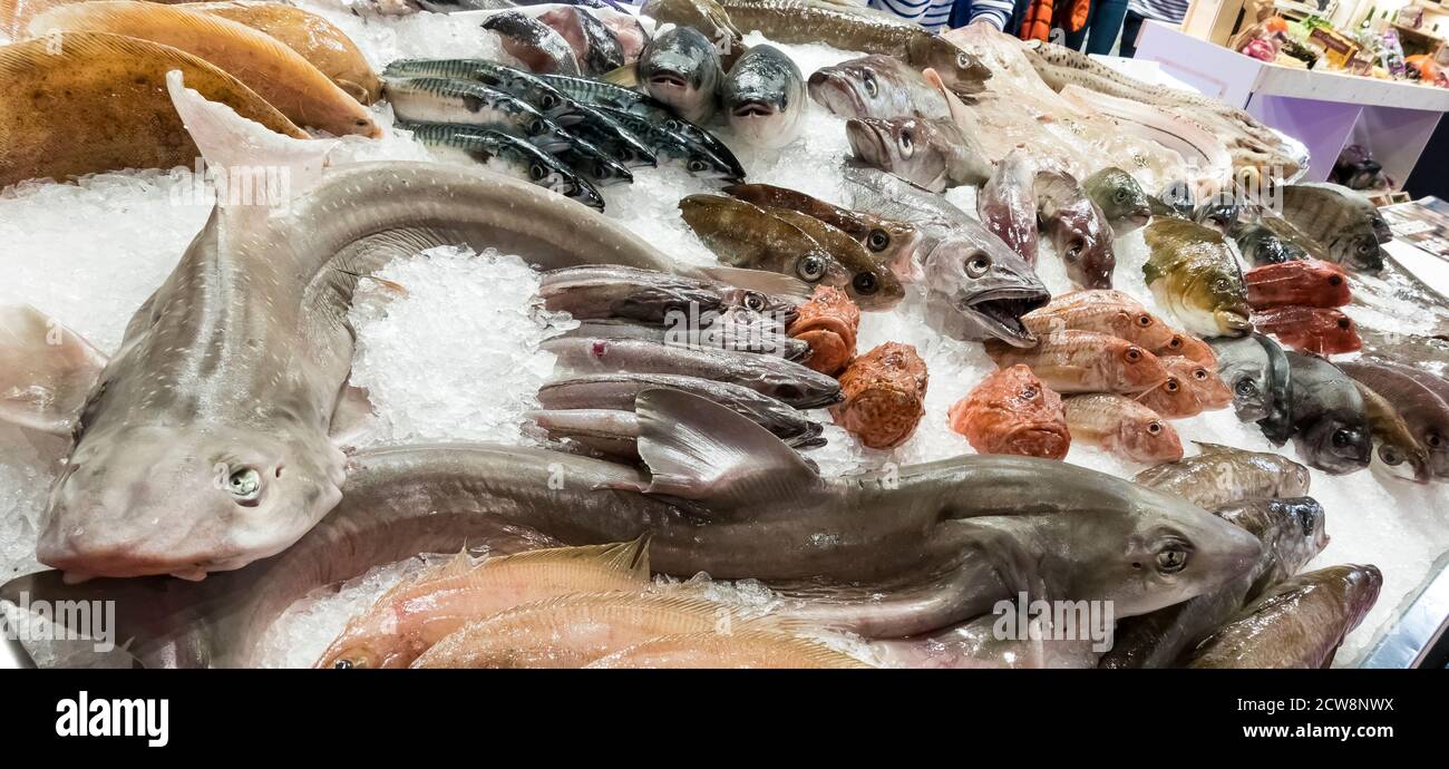 Variety of fresh seafood on ice at the fish market, in France Stock ...