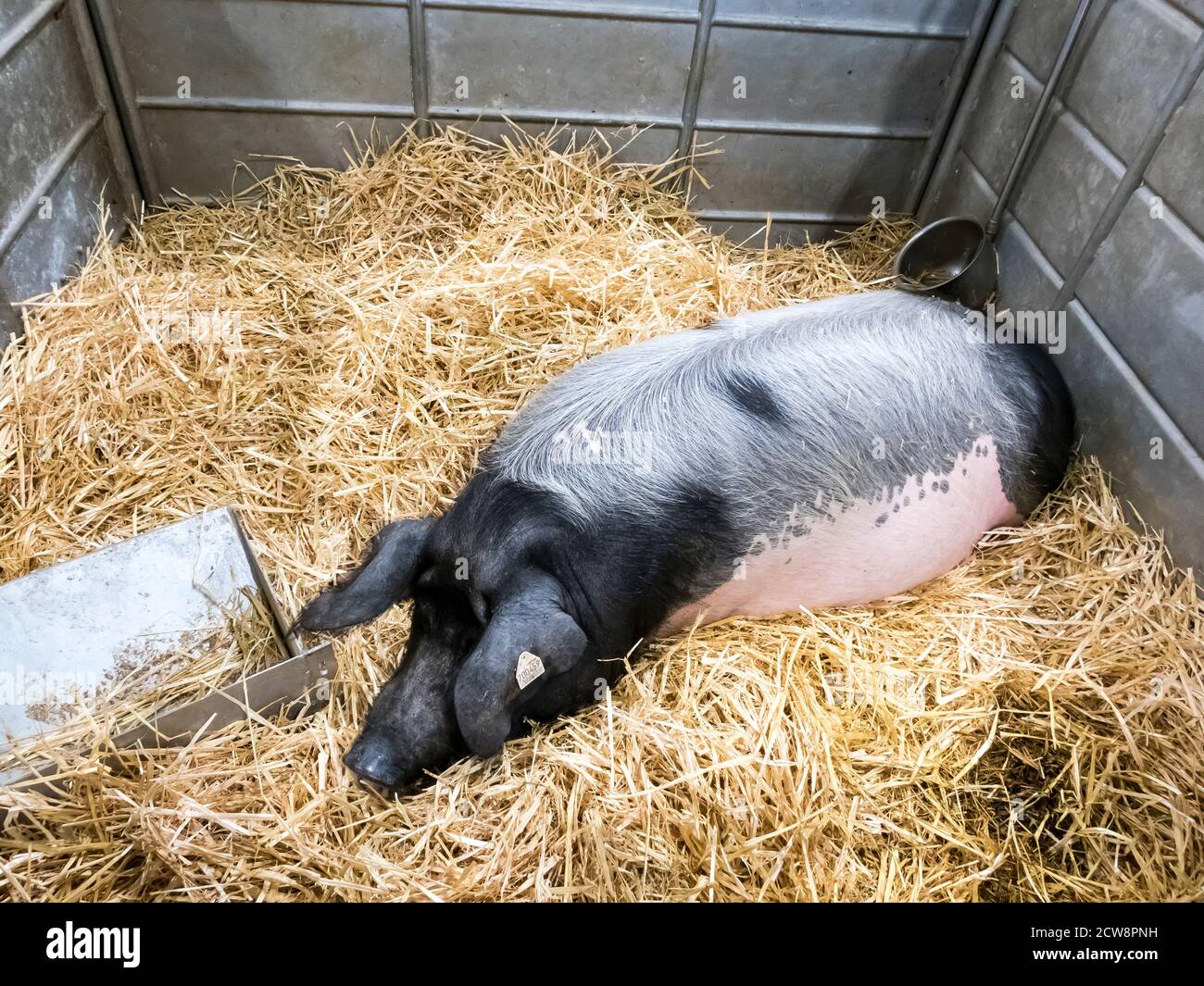 Baby sleeping on mat hi-res stock photography and images - Alamy