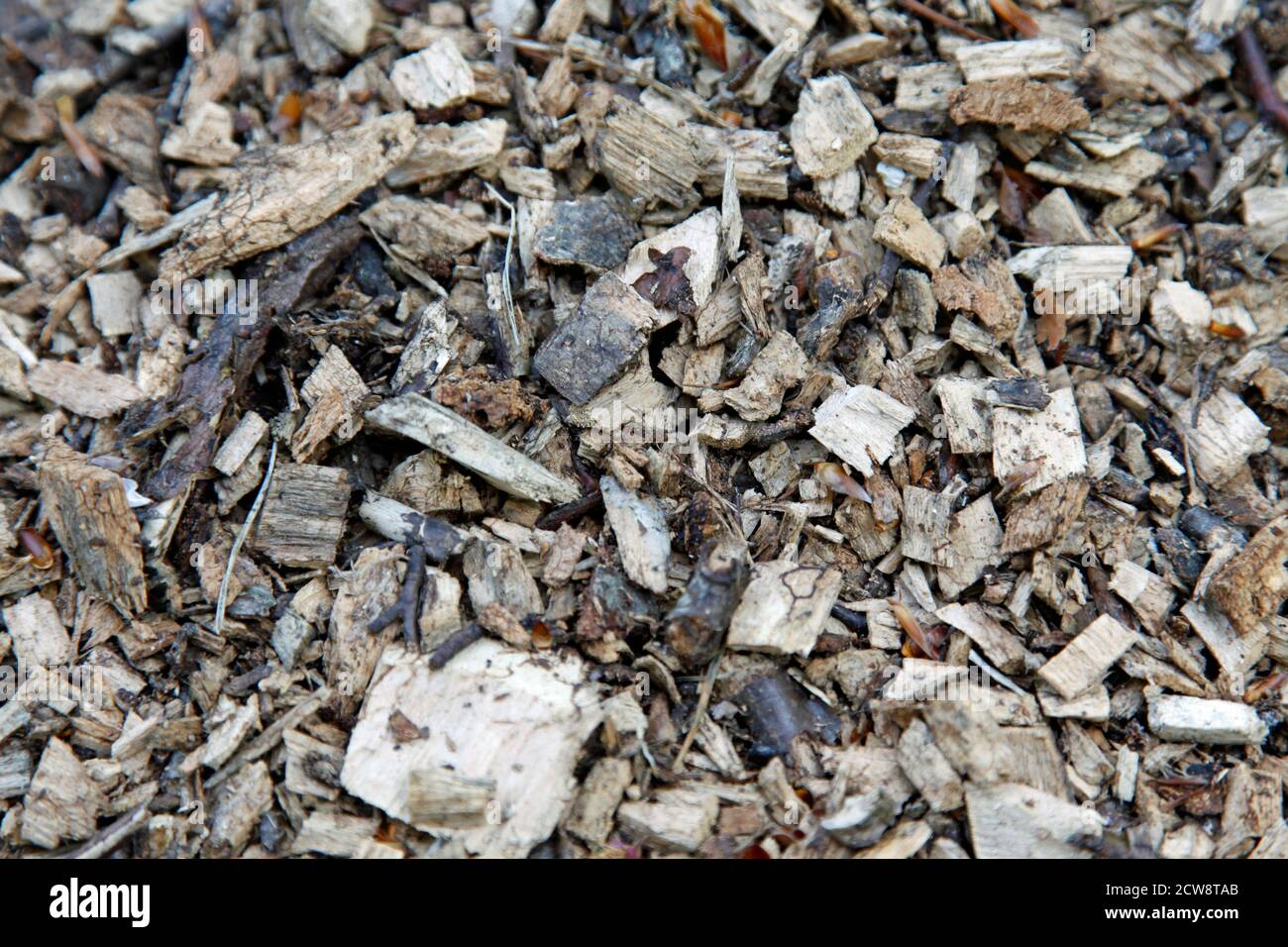 Bark chippings garden hi-res stock photography and images - Alamy