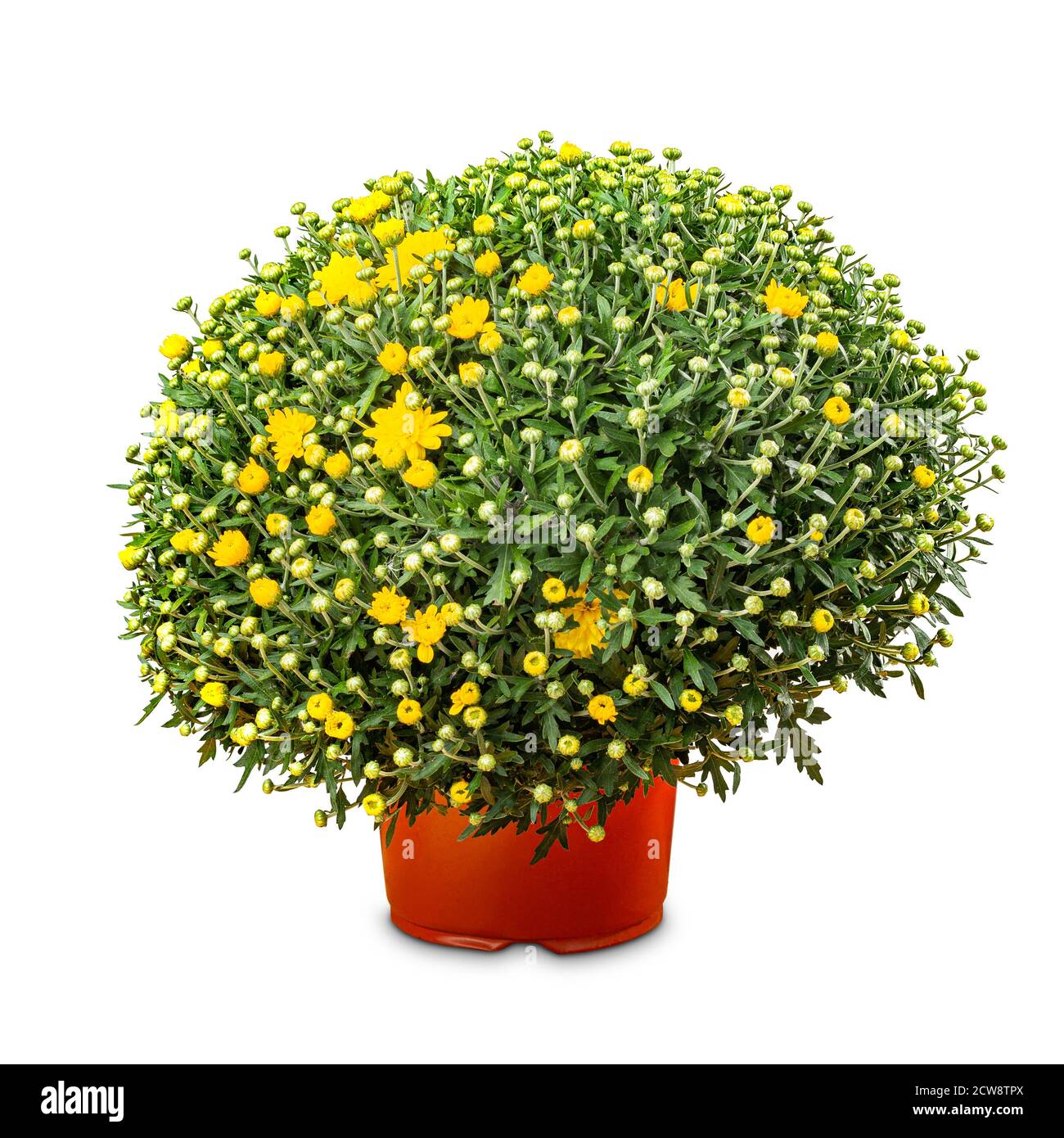 Beautiful small gardens hi-res stock photography and images - Alamy