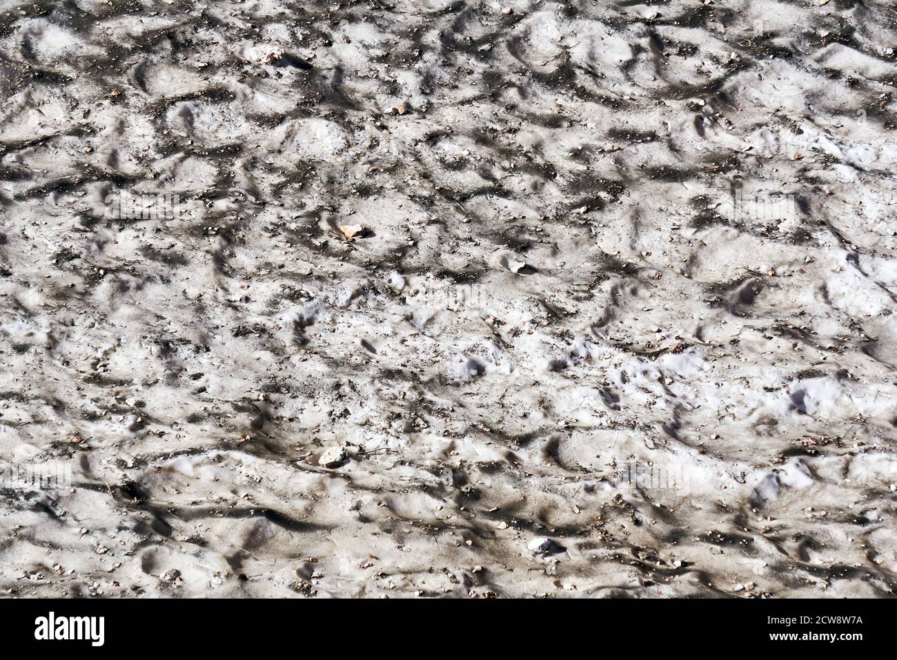 muddy surface of a melting mountain glacier covered with rocks and ...