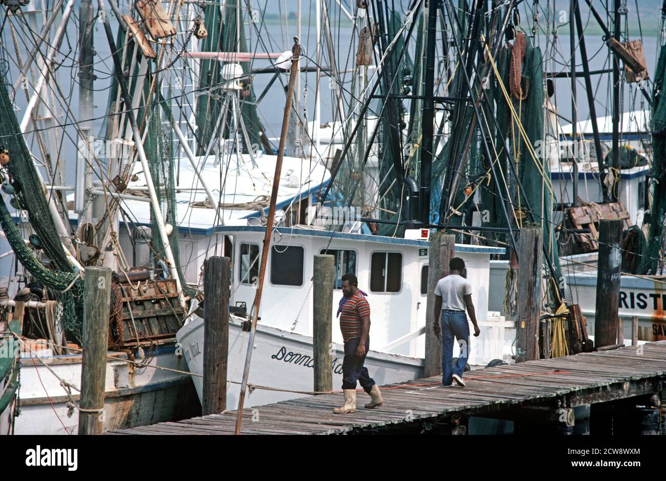AFRICAN AMERICAN FISHERMAN AND SHRIMP FISHING BOATS ON SAVANNAH RIVER ...