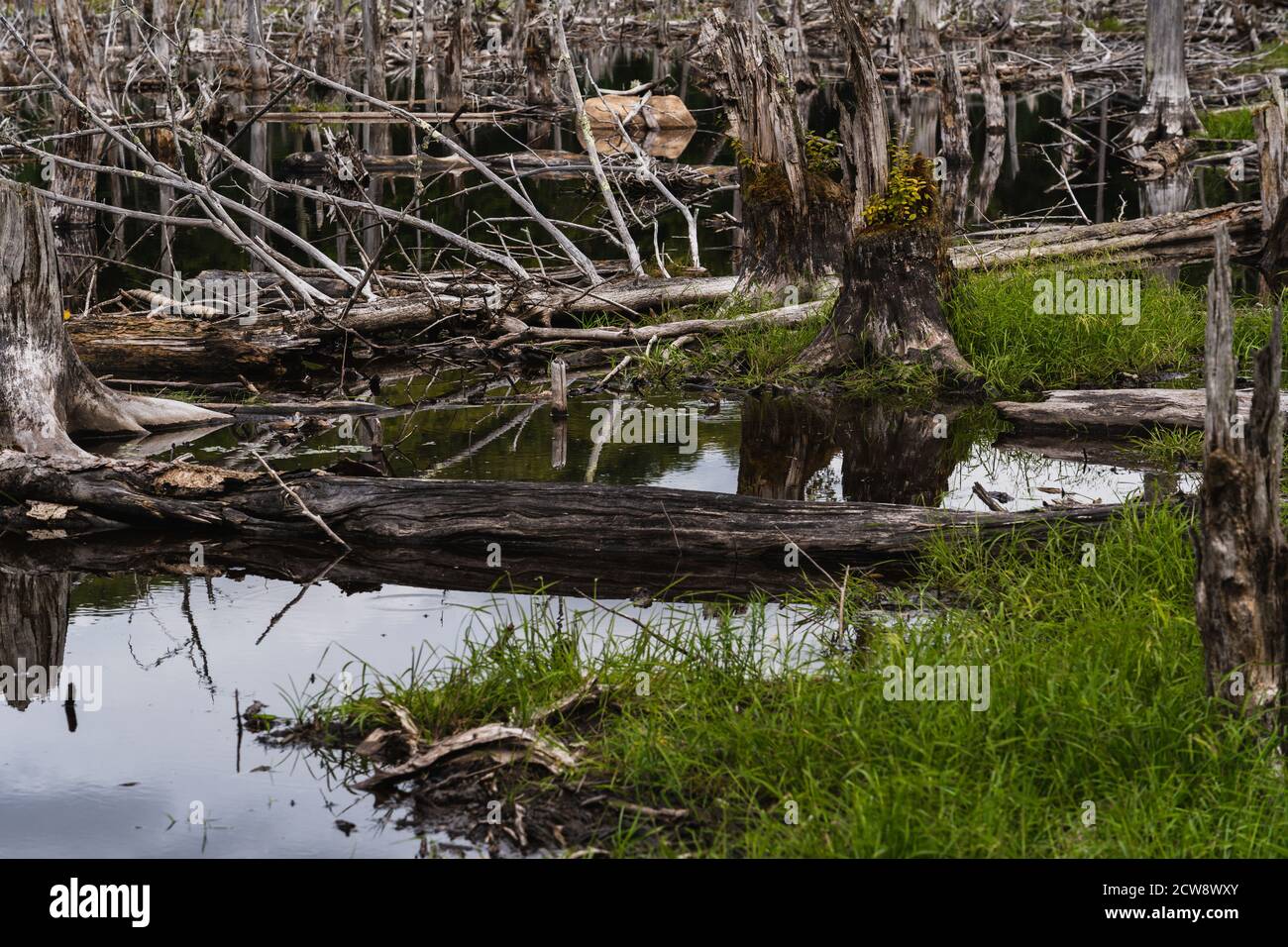 Van dam state park hi-res stock photography and images - Alamy