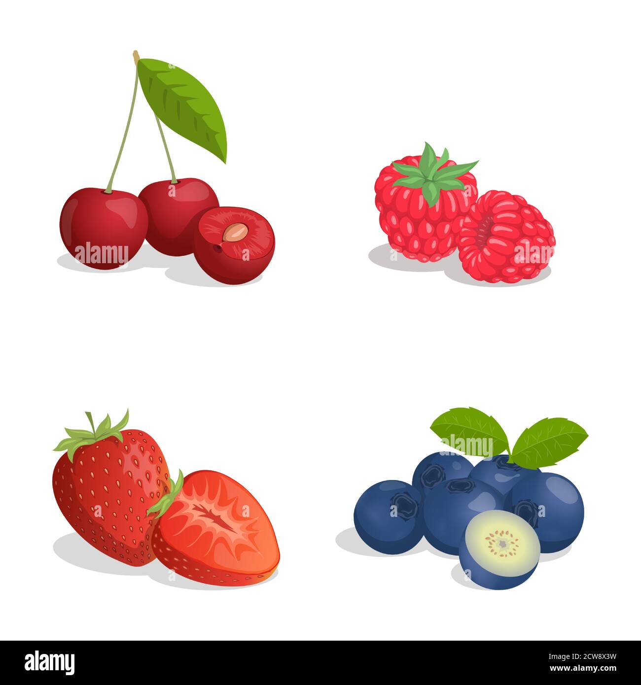 Cherry, raspberry, strawberry, and blueberry vector cartoon ...