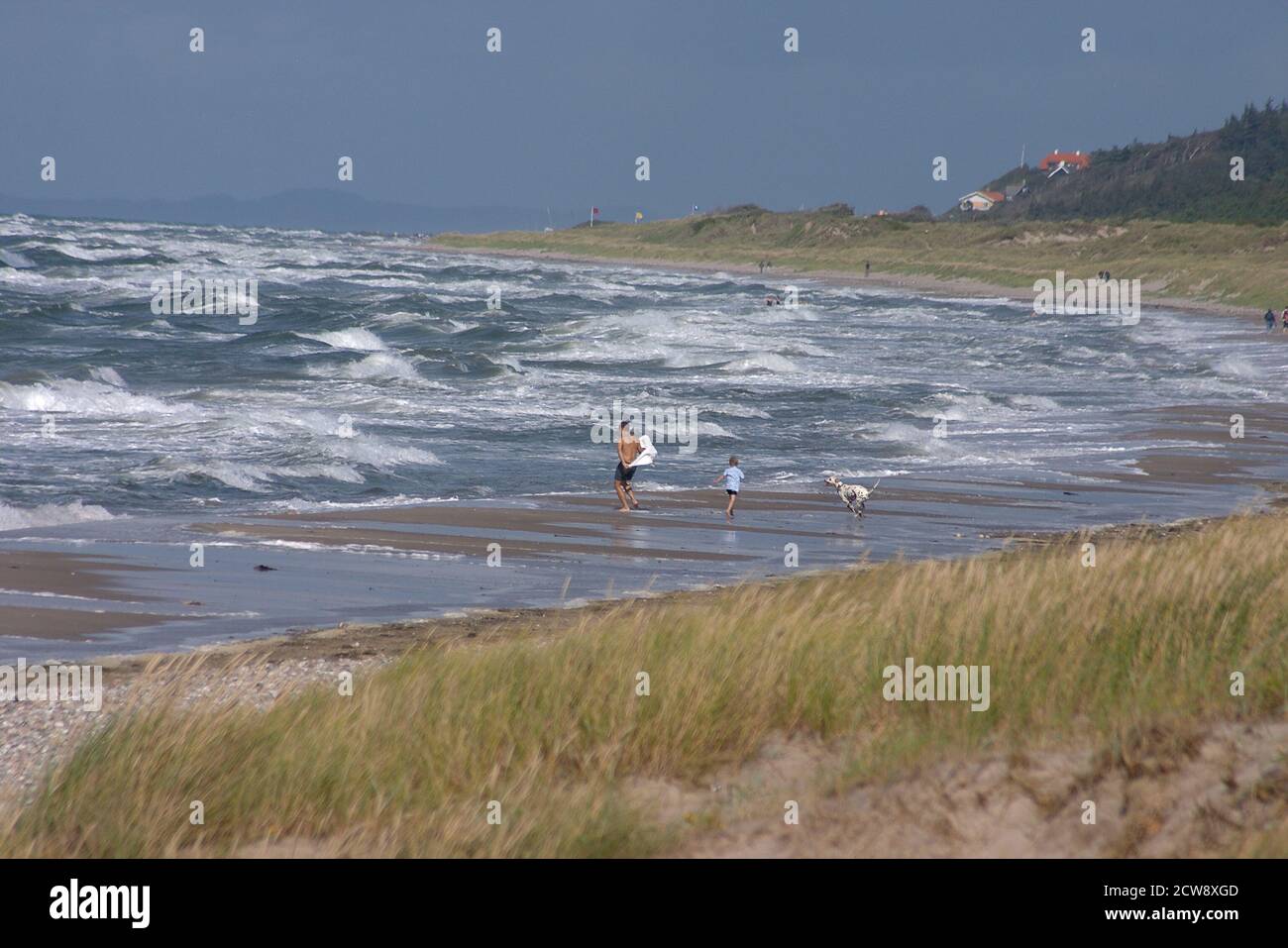 Beach at Tisvilde Hegn between Tisvilde and Liseleje in 2004 Stock ...
