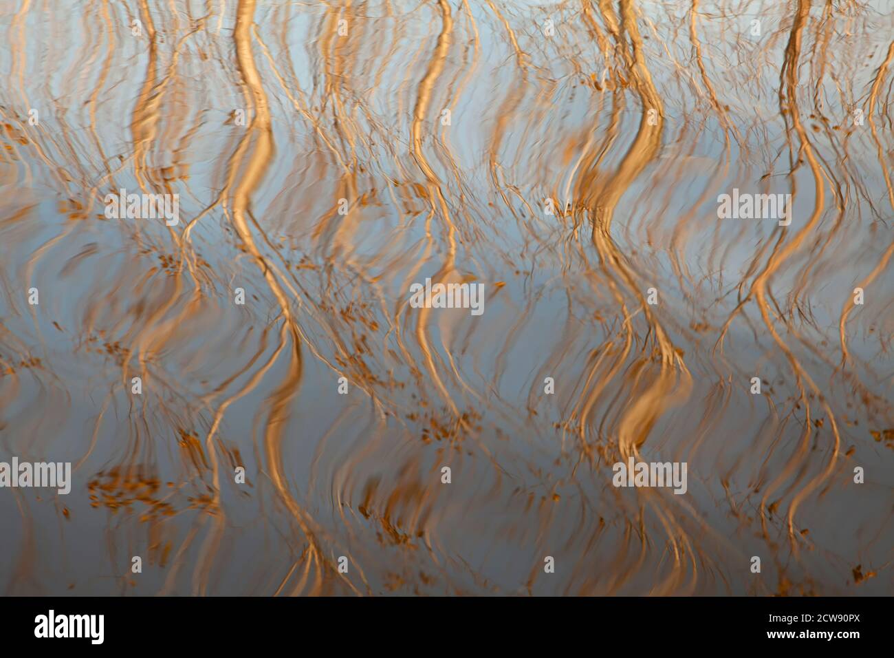 Water ripple wave patterns with reflections Stock Photo - Alamy