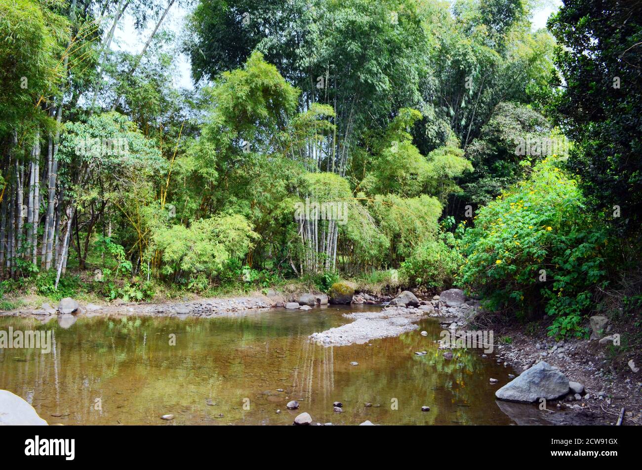 Ecuador - Mindo Laguna Stock Photo - Alamy