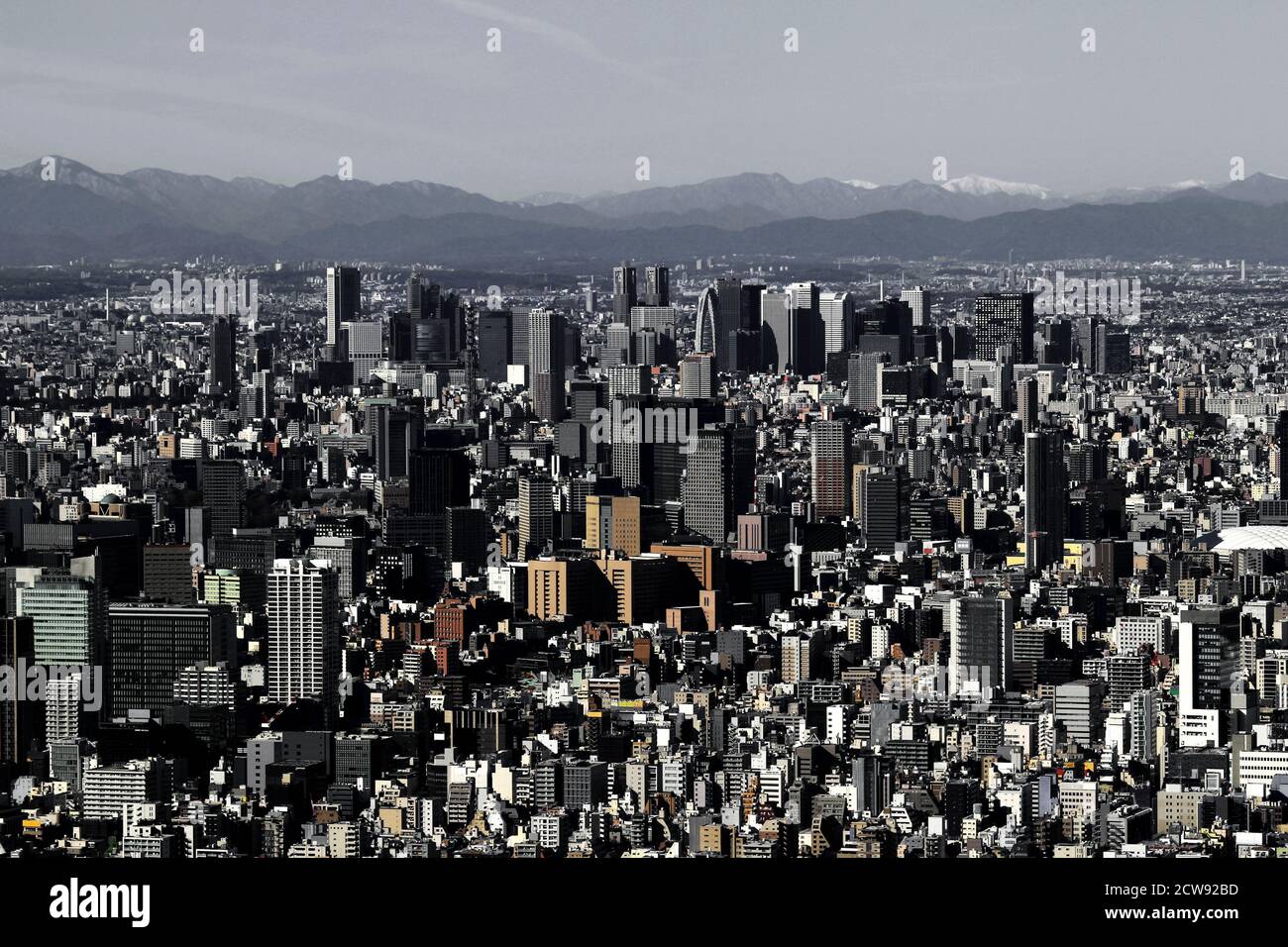 A panoramic view of the skyscrapers in Shinjuku Ward, Tokyo Stock Photo ...
