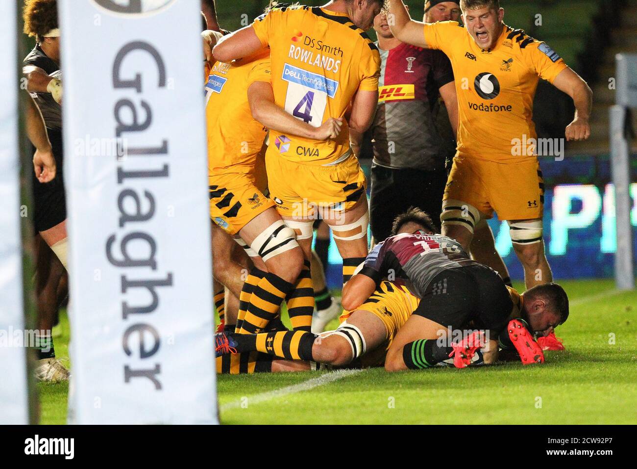 Tom willis wasps hi-res stock photography and images - Alamy