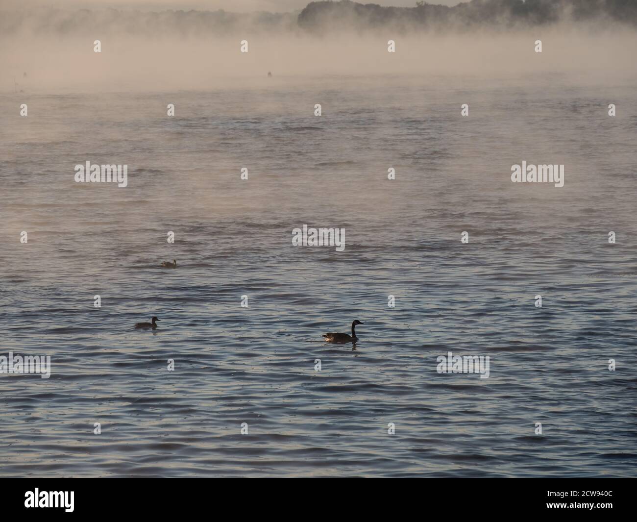 Mist on lake hi-res stock photography and images - Alamy