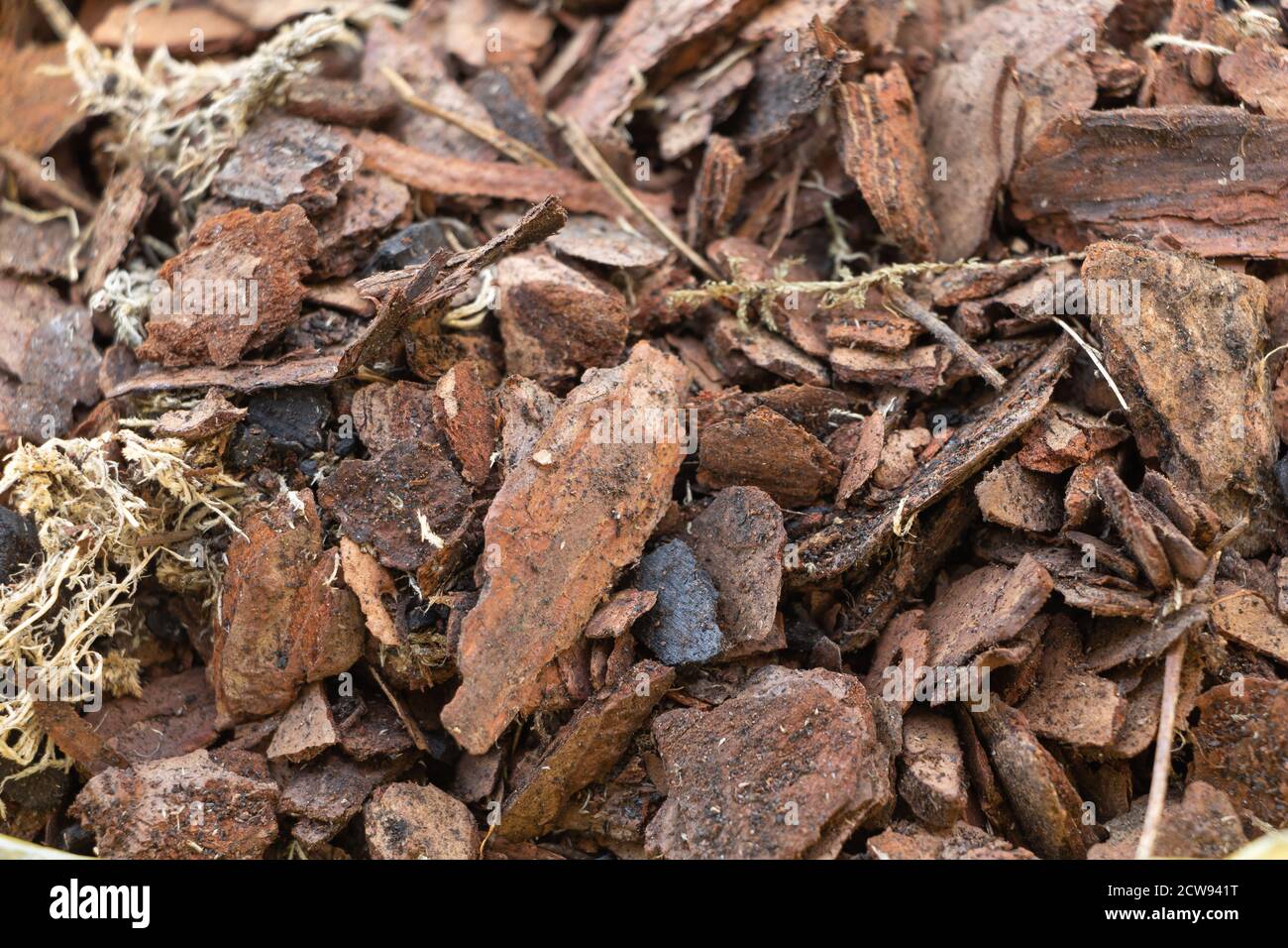 Orchid substrate made of pine bark, textured Stock Photo - Alamy