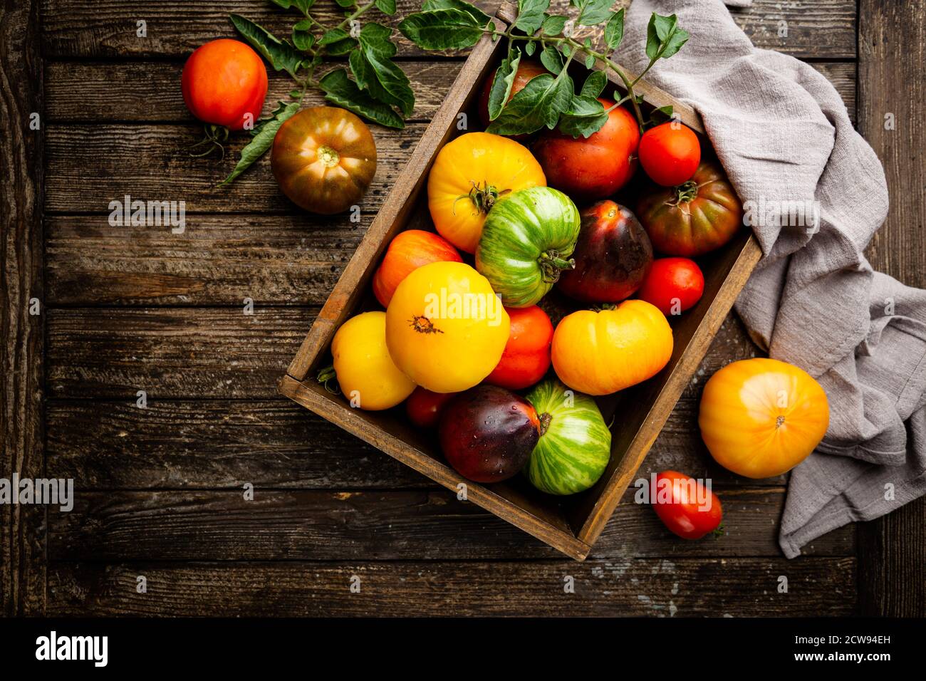 Mixed tomatoes top view. Composition with variety of colorful fresh ...