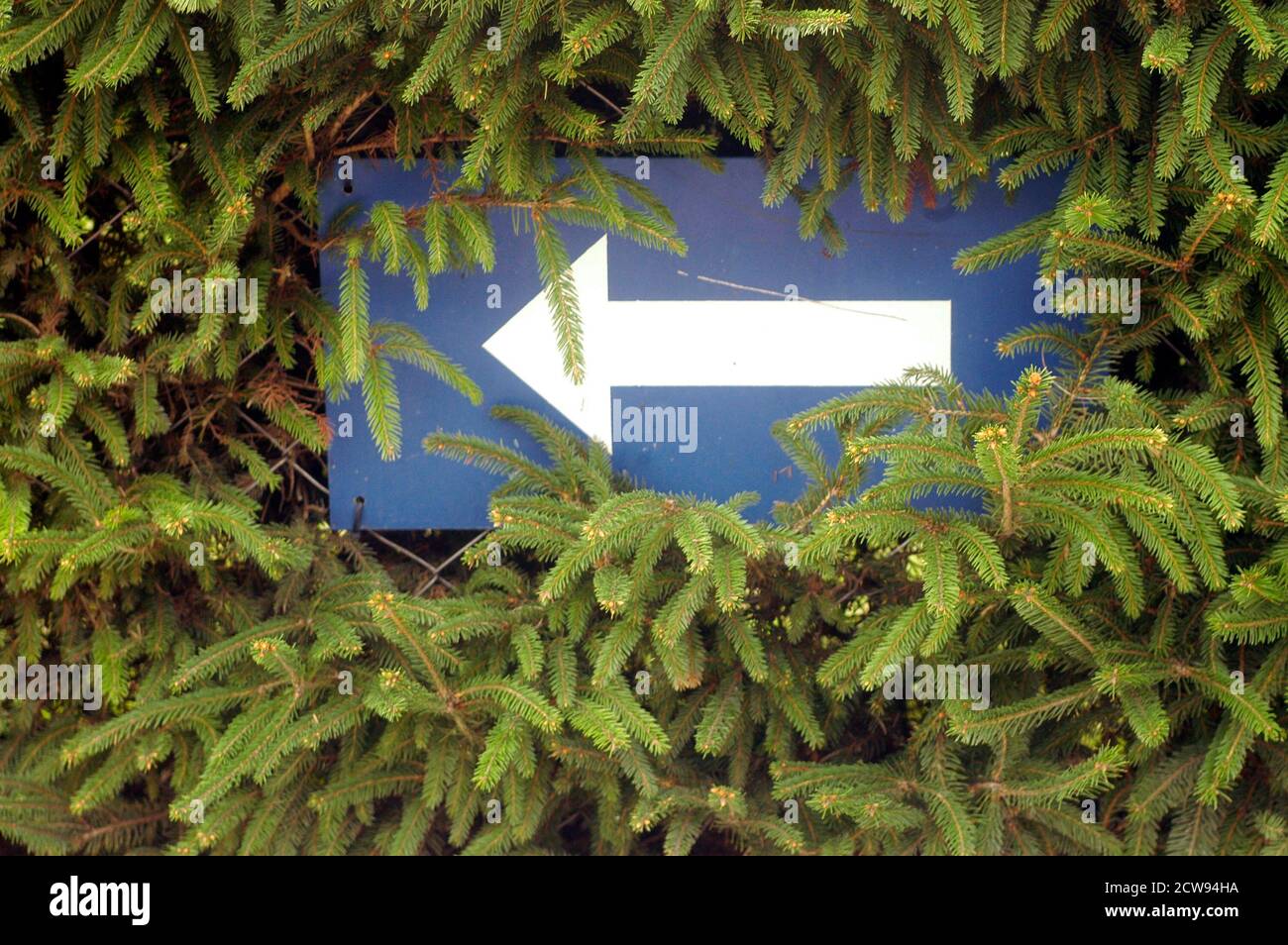 direction arrow points in one way, sign to move towards this direction ...