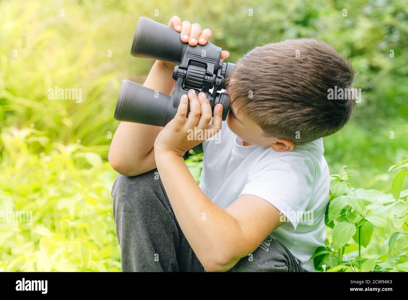 curious boy looks for wildlife through binoculars in the park ...