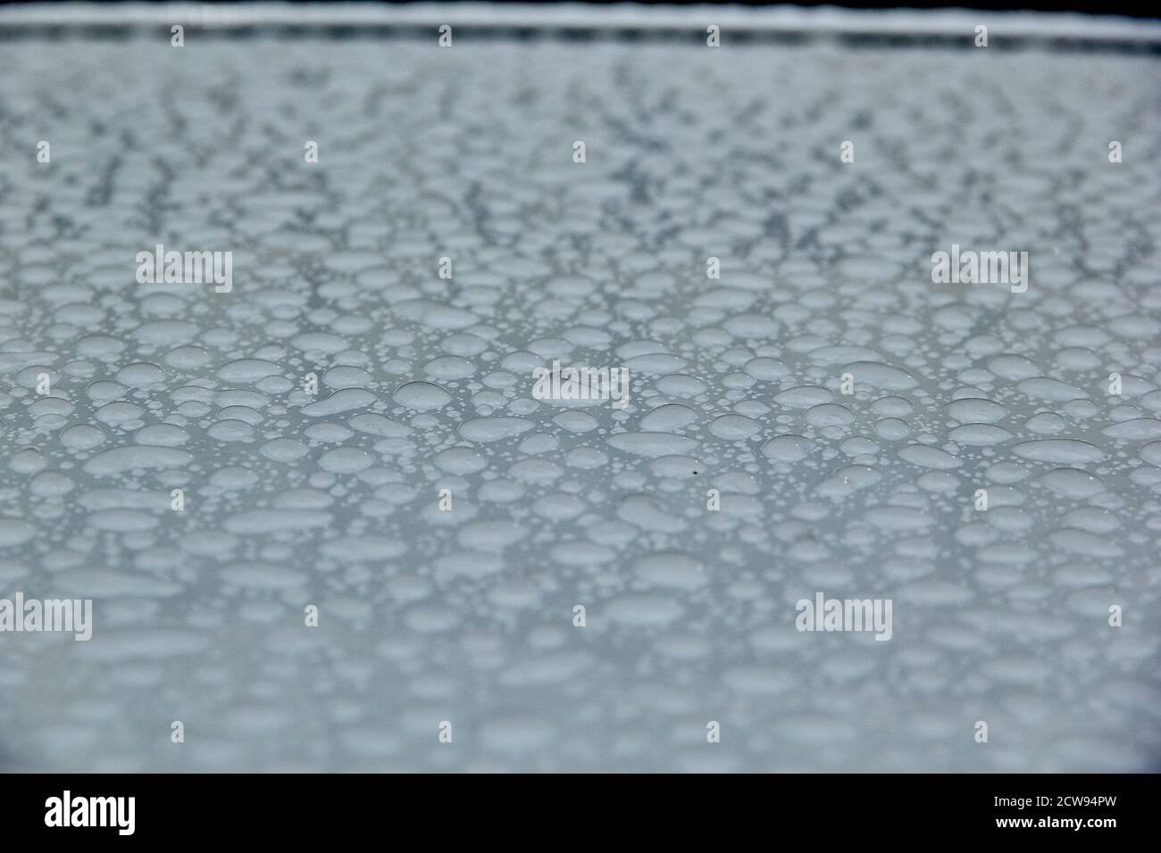 Close-up of water drops on a gray background then on. Raindrop ...