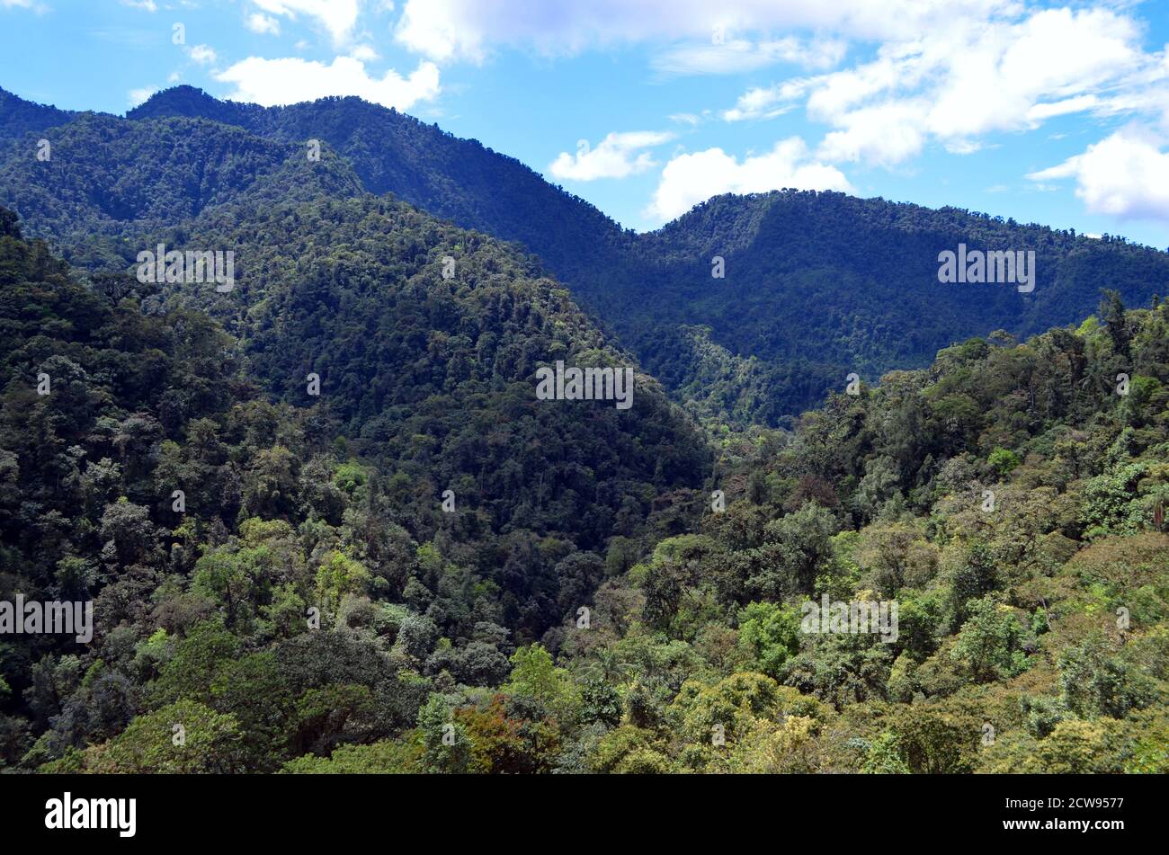 Ecuador - Mindo Tarabita Mountain Vista Stock Photo - Alamy