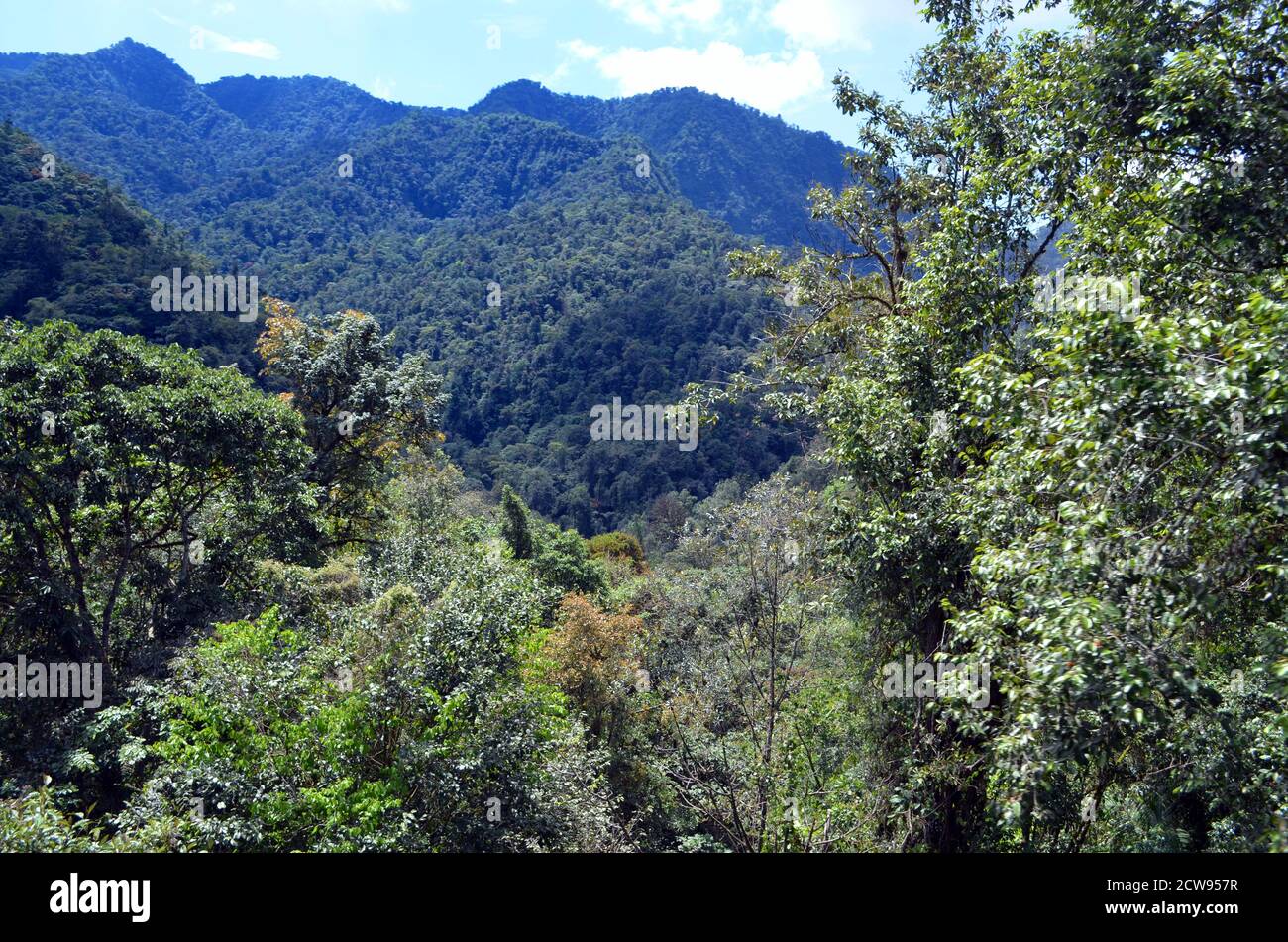 Ecuador - Mindo Tarabita Mountain Vista Stock Photo - Alamy