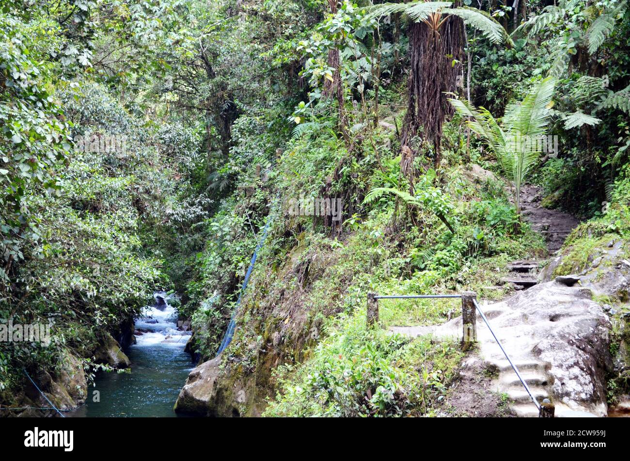 Ecuador - Rio Mindo in the Tarabita Mountains Stock Photo - Alamy