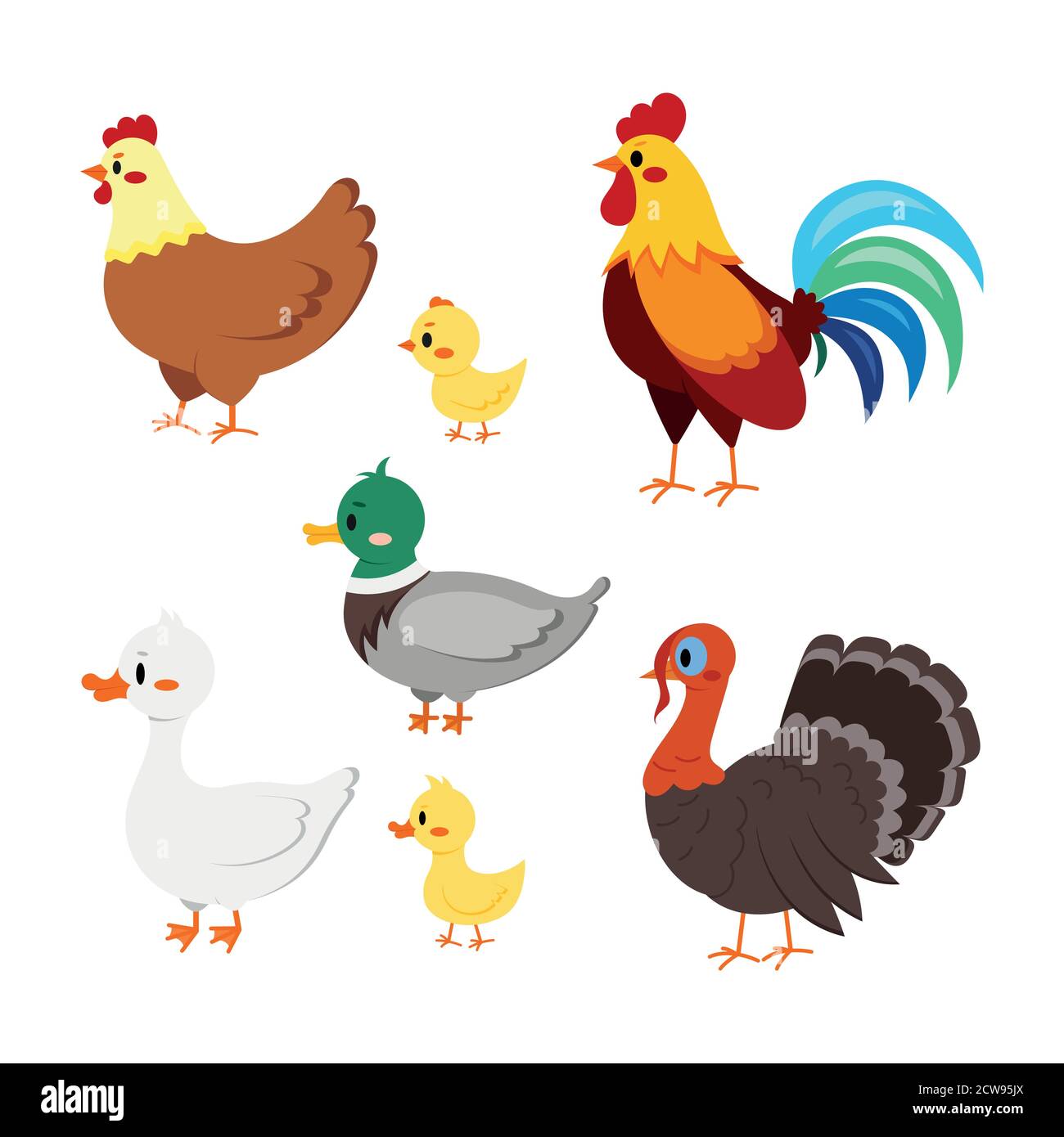 Farm birds set isolated on white background Stock Vector Image & Art ...