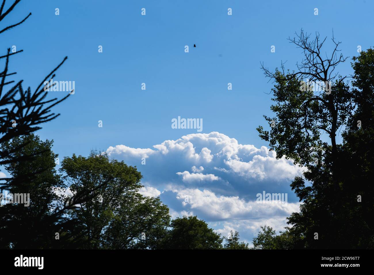 Flying through the clouds hi-res stock photography and images - Alamy