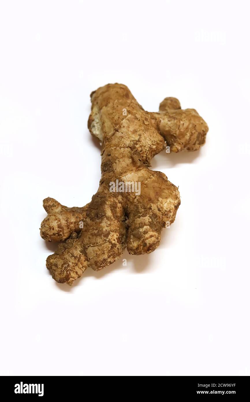 fresh ginger isolated on white backgrounds Stock Photo - Alamy