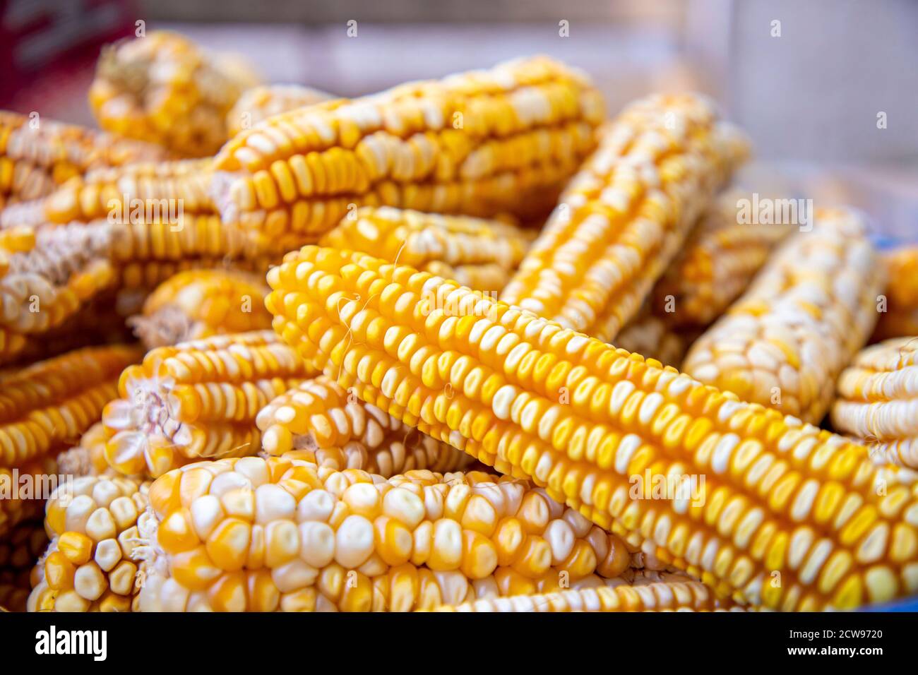 Sun Dried Fresh Organic Corn Cob Stock Photo - Alamy