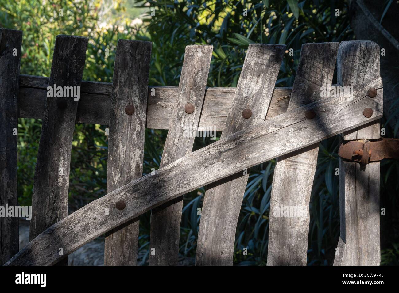 Spanish Traditional Fence Typical Olive Wood Fence, Island Menorca,