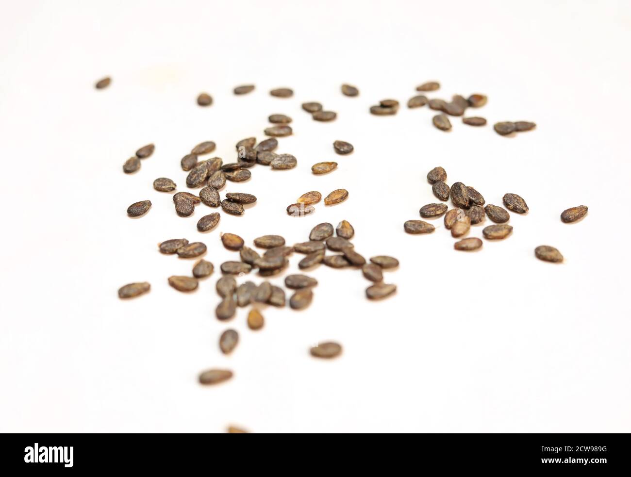 Watermelon seeds composition isolated over the white backgrounds Stock ...