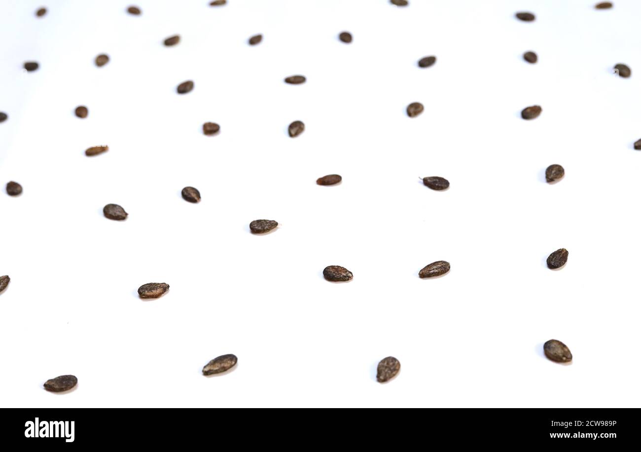Multiple watermelon seeds, composition isolated over the white ...