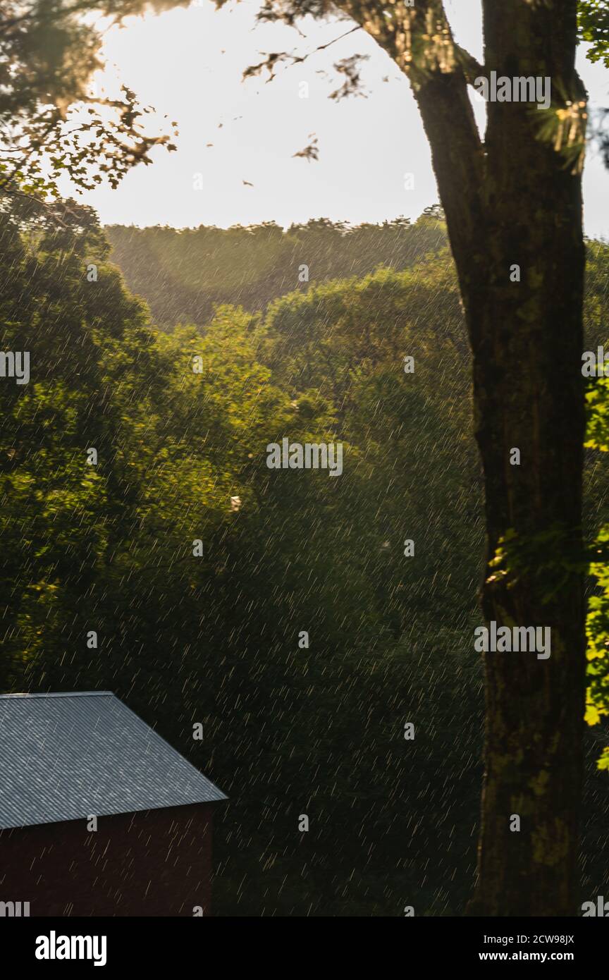 The rain falling in front of a red barn and trees Stock Photo - Alamy