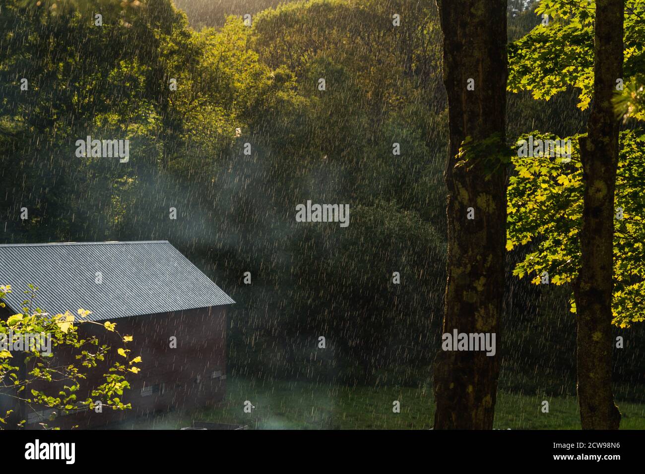 The rain falling in front of a red barn and trees Stock Photo - Alamy