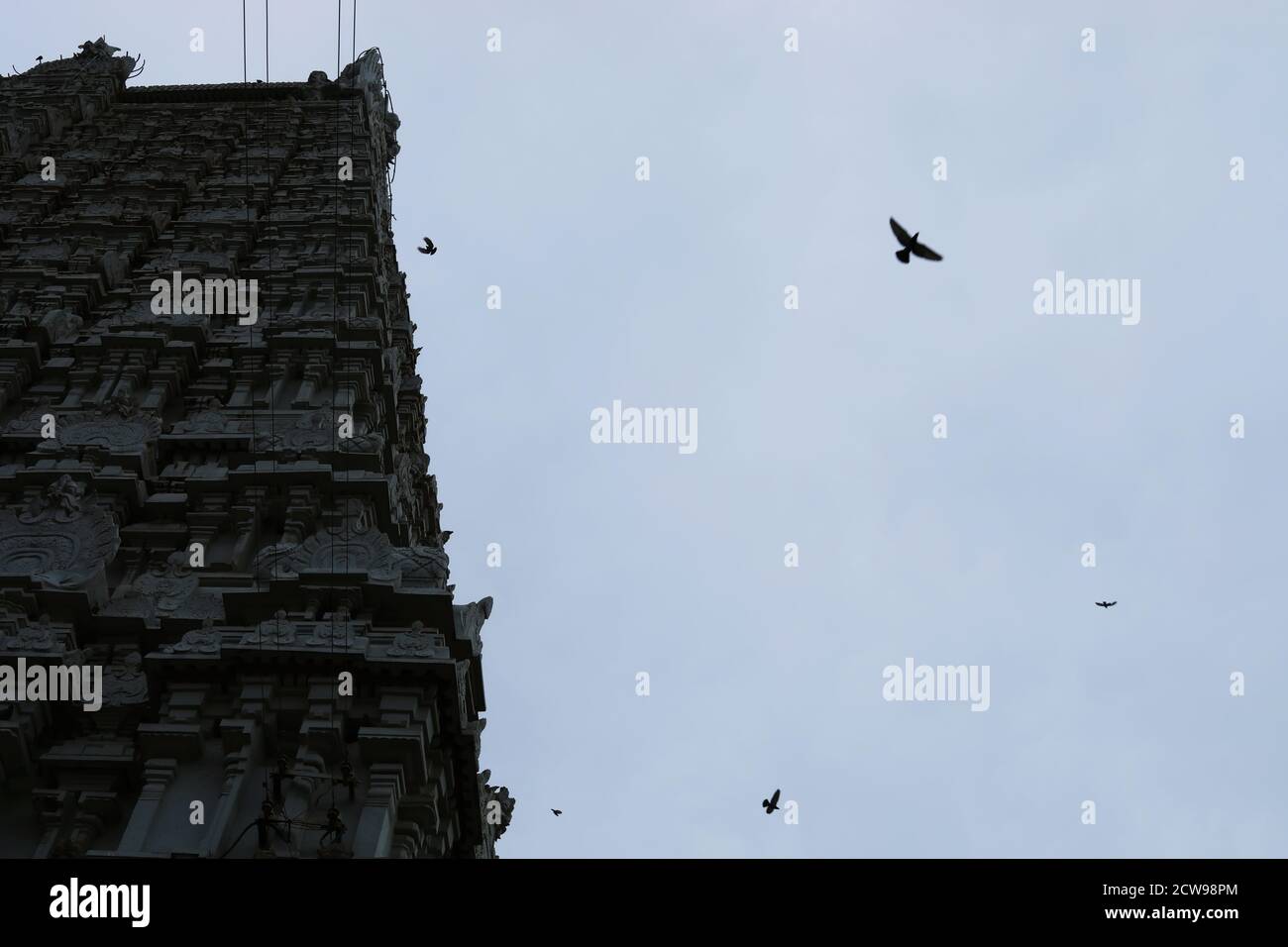 Beautiful view of the tower in the Hindu temple with birds flying on ...