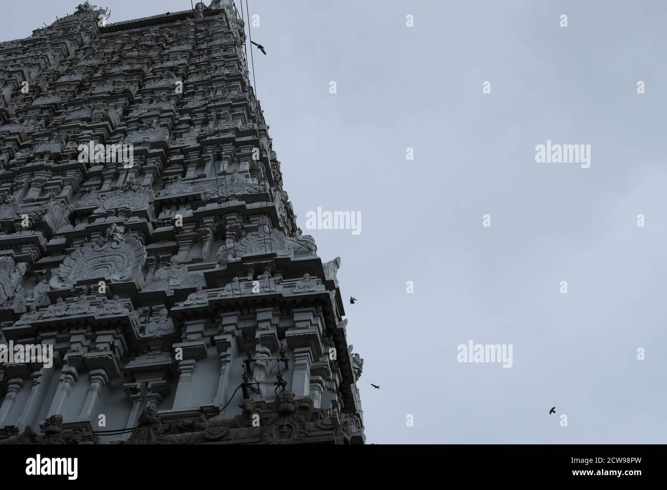 Beautiful view of the tower in the Hindu temple with birds flying on ...