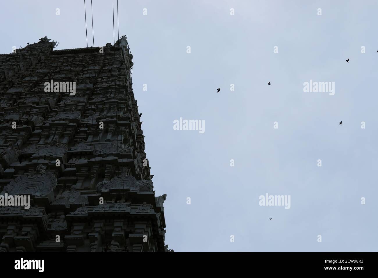 Beautiful view of the tower in the Hindu temple with birds flying on ...