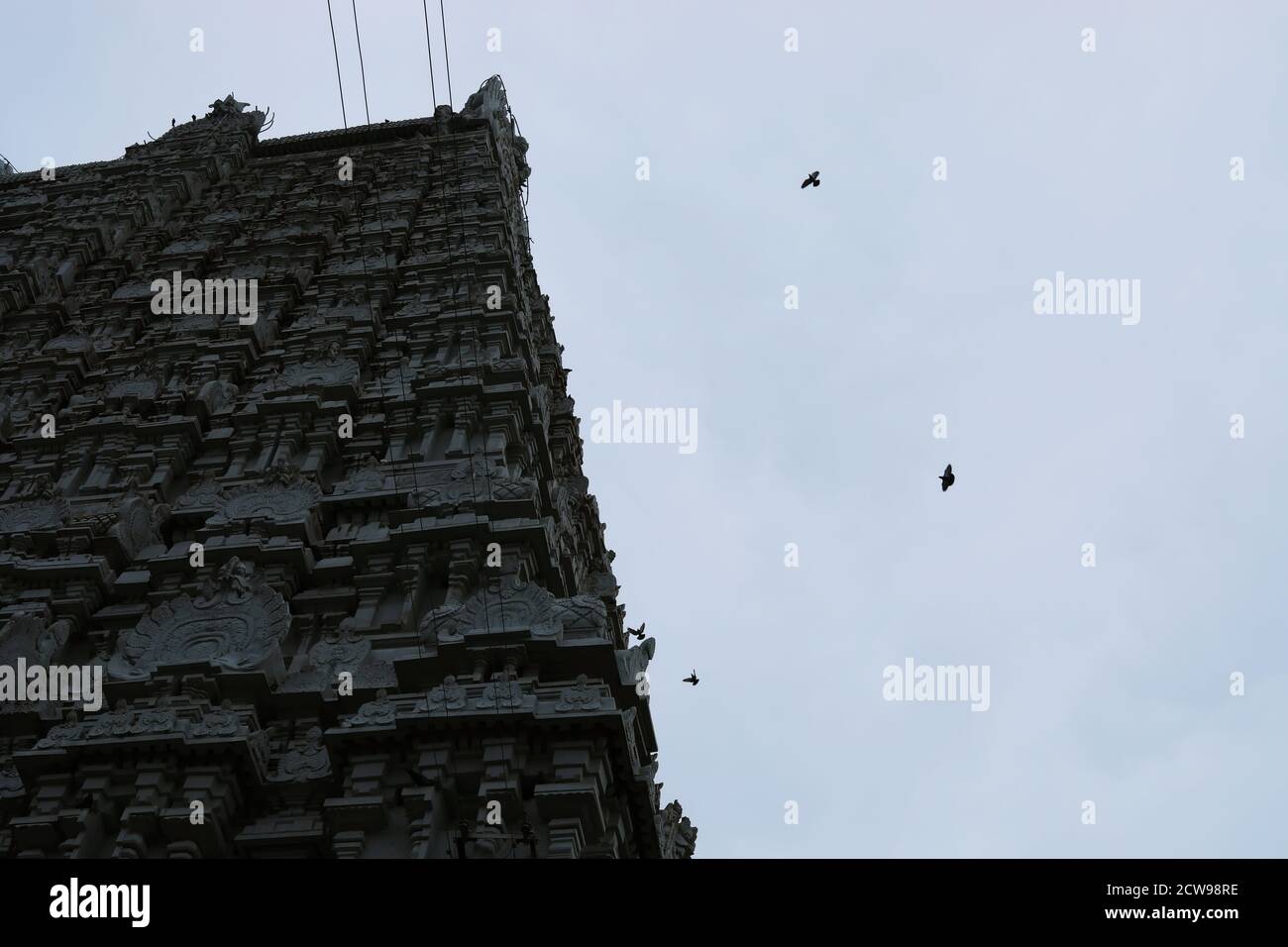 Beautiful view of the tower in the Hindu temple with birds flying on ...