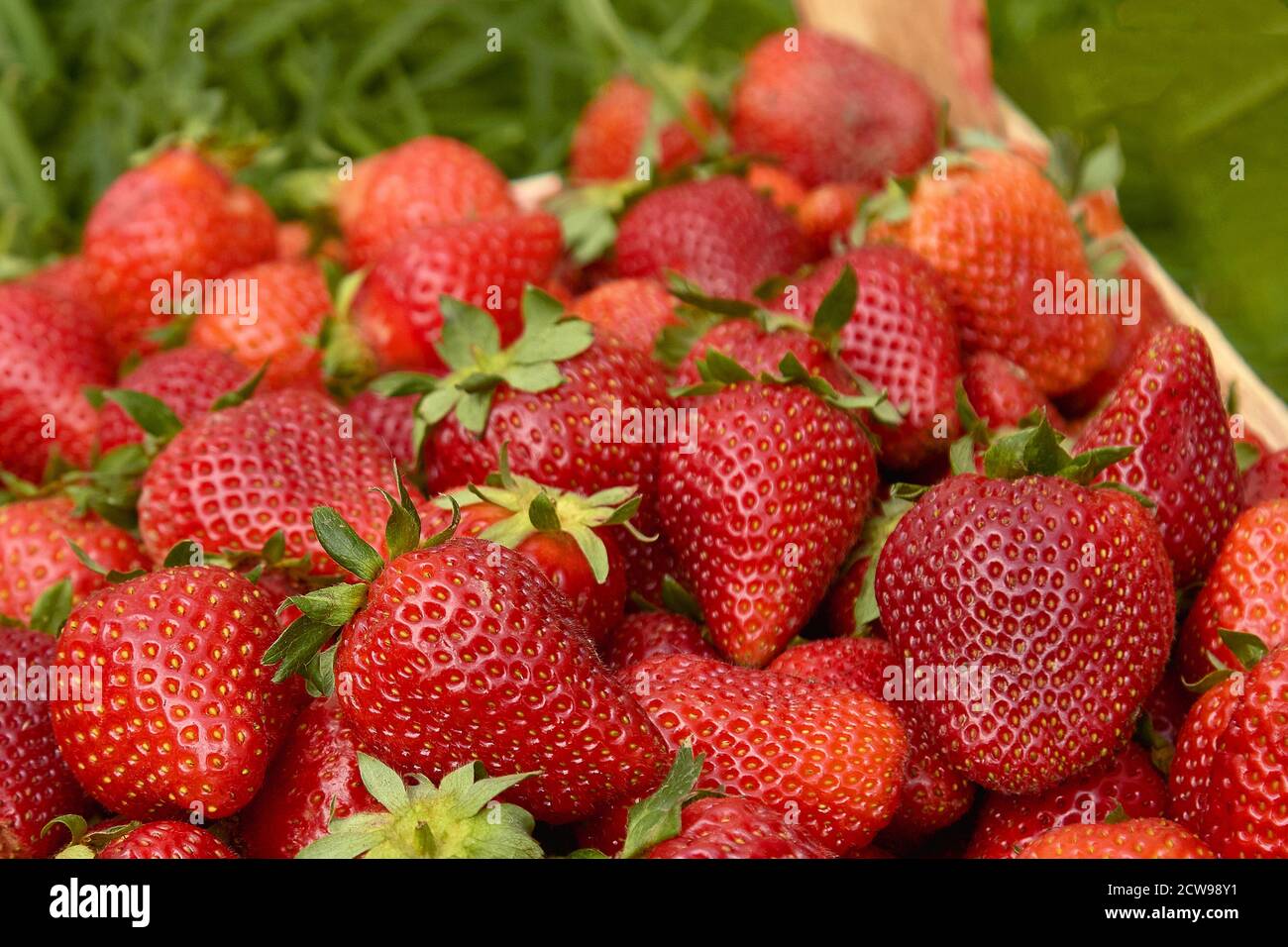 strawberry berry close-up on the background of nature Stock Photo - Alamy
