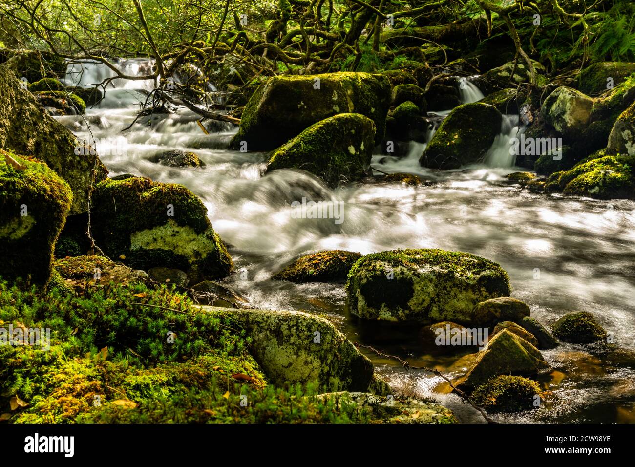 Yellow river rocks hi-res stock photography and images - Alamy
