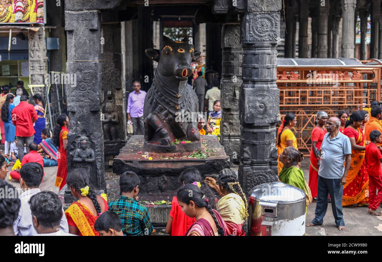 Big granite bull statue at thiruvannamalai Temple Stock Photo - Alamy