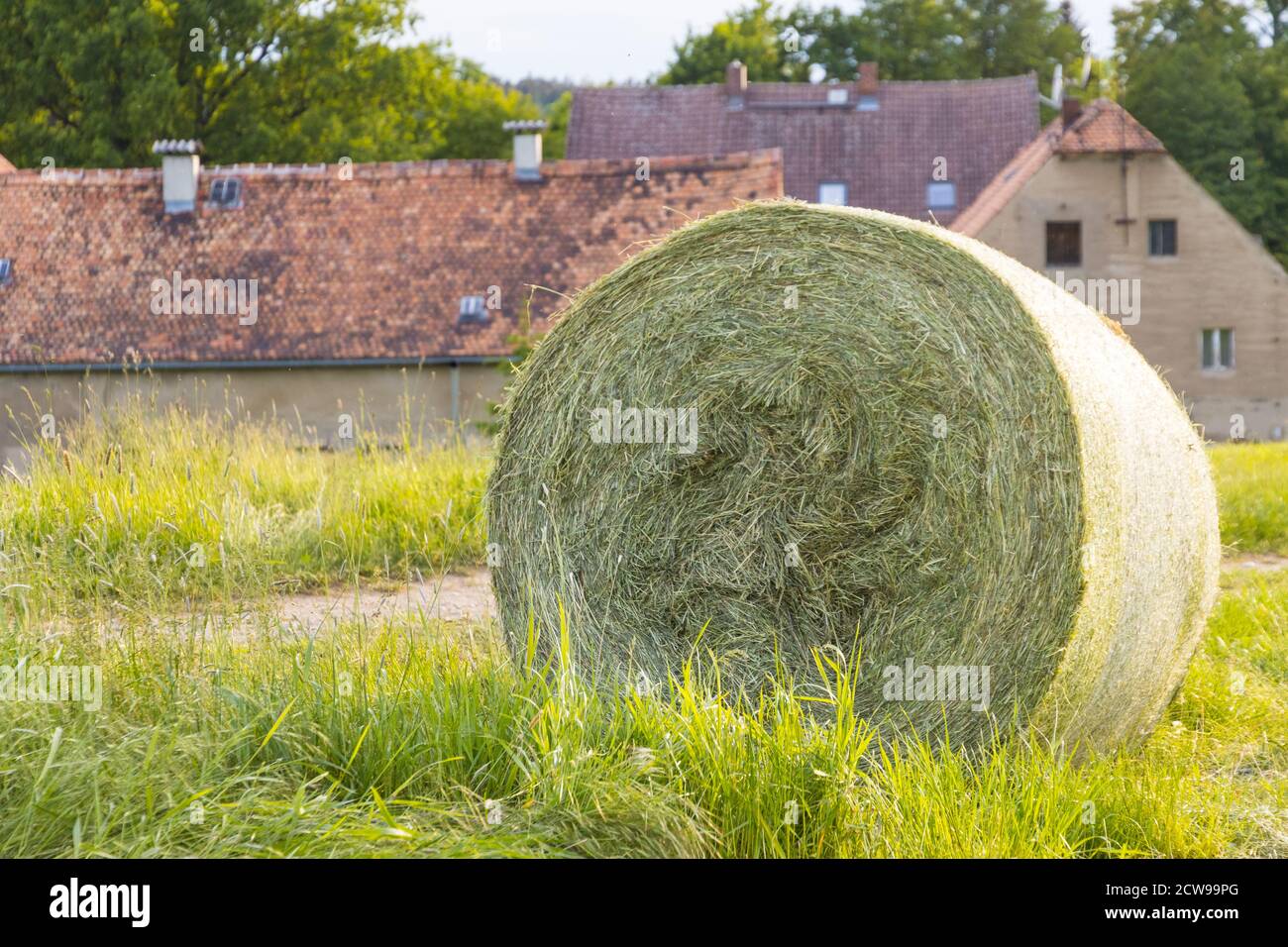 Straw roll hi-res stock photography and images - Alamy