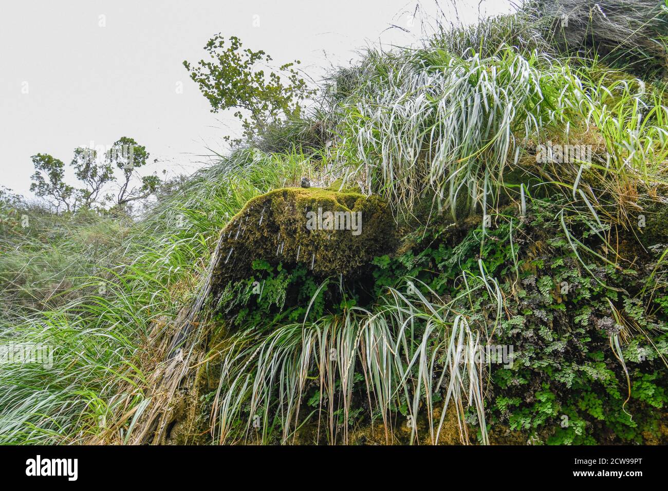 Formation of tuffs Stock Photo - Alamy