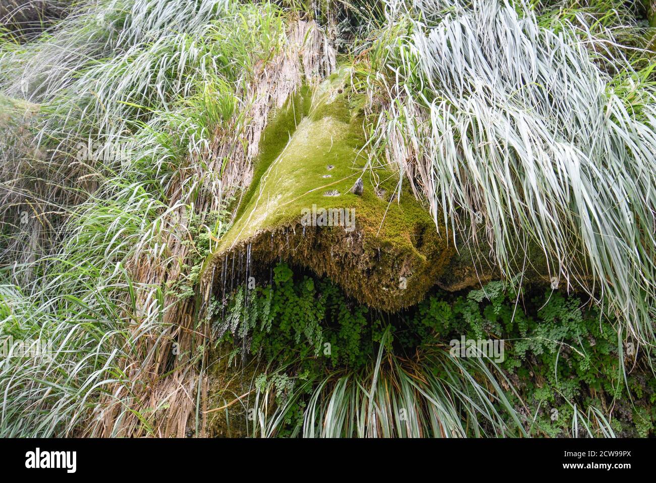 Formation of tuffs Stock Photo - Alamy