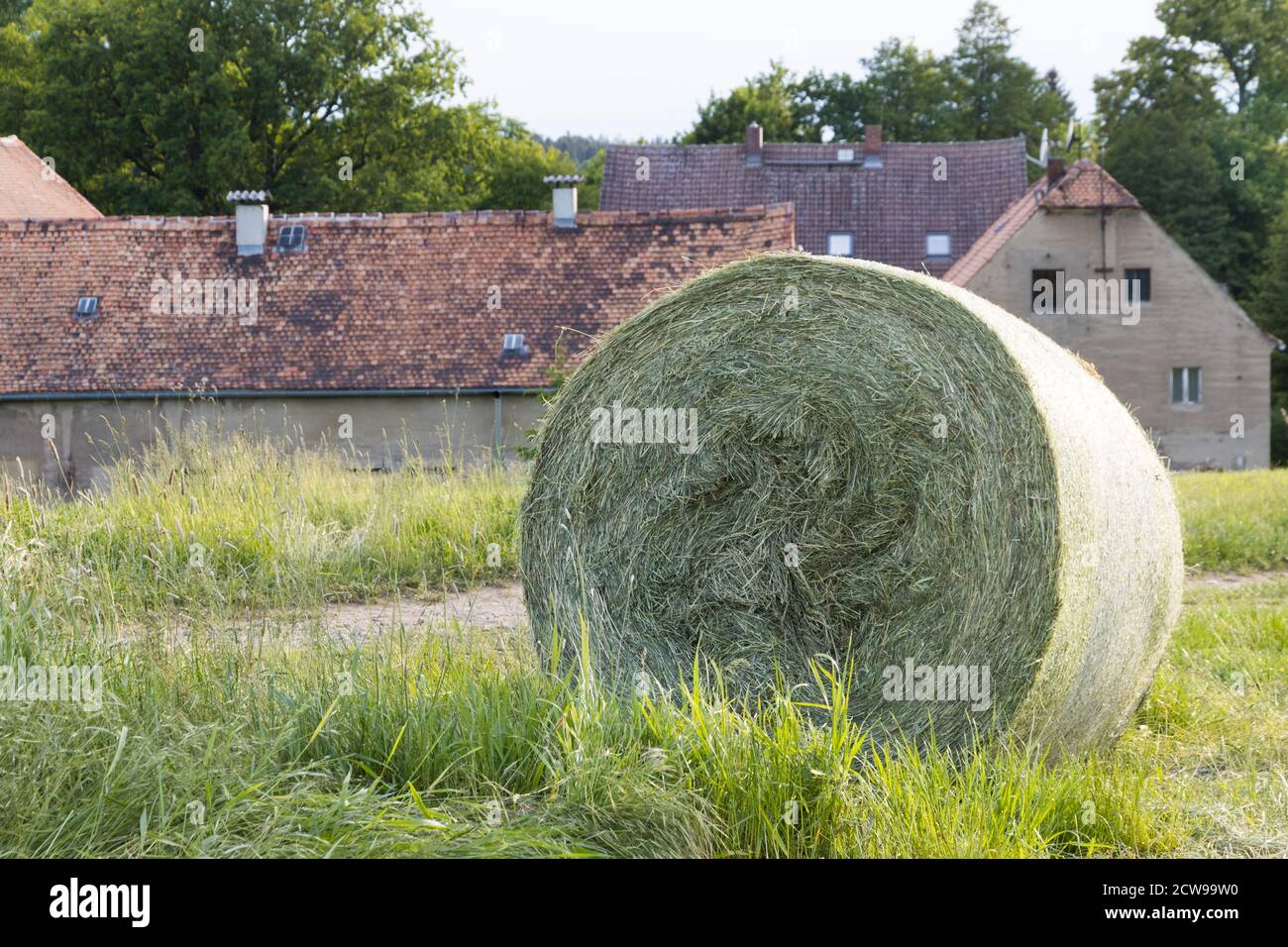 Straw roll hi-res stock photography and images - Alamy
