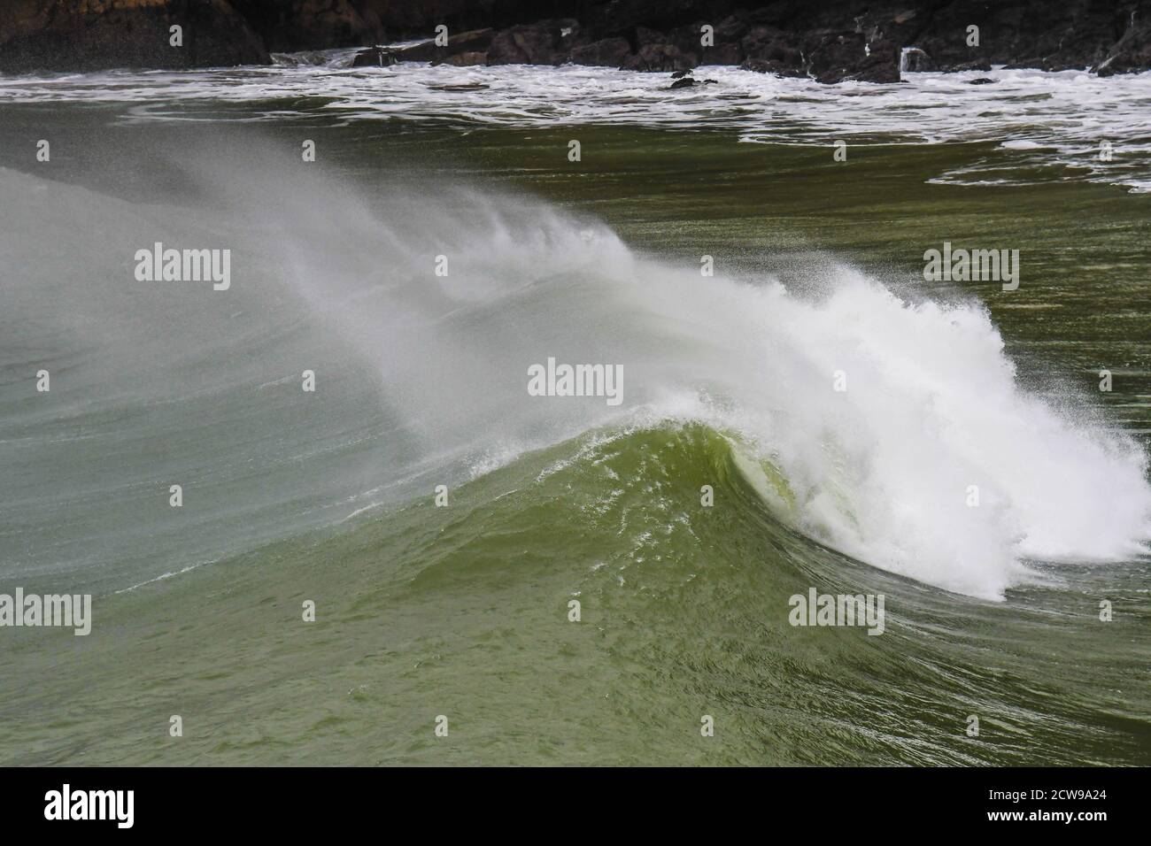 Against big waves hi-res stock photography and images - Alamy