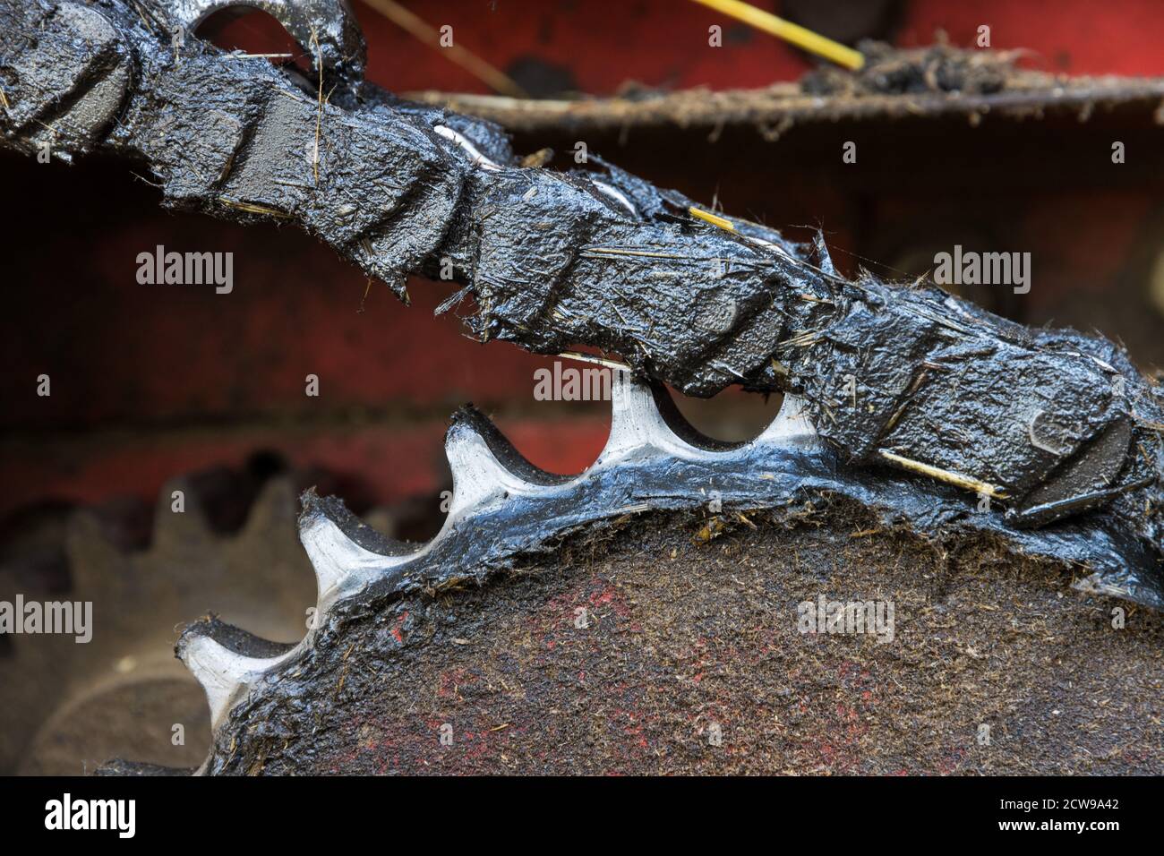 Steel chain drive Stock Photo - Alamy