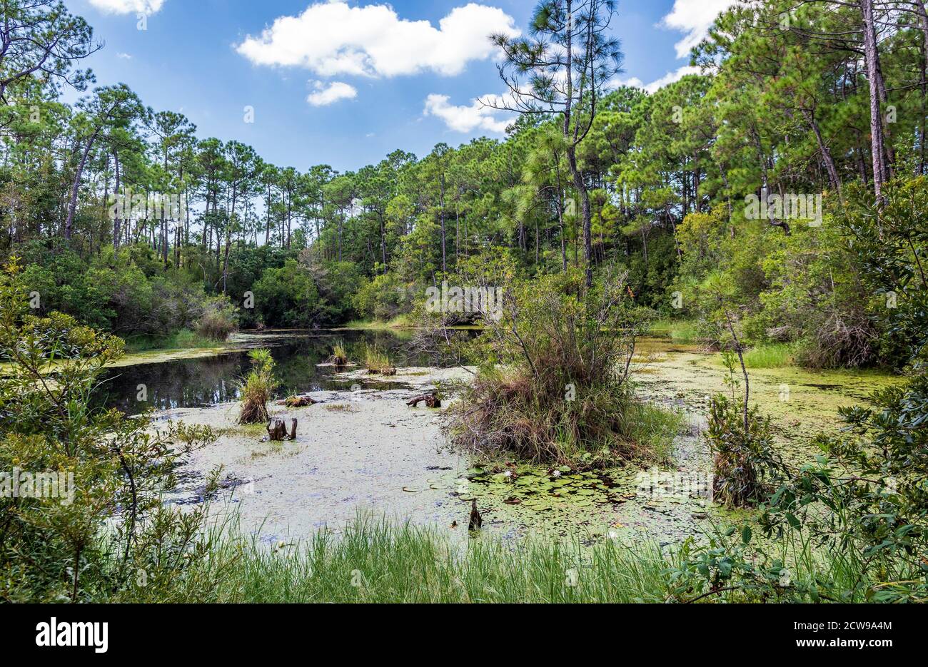 Gulf Islands National Seashore High Resolution Stock Photography and ...