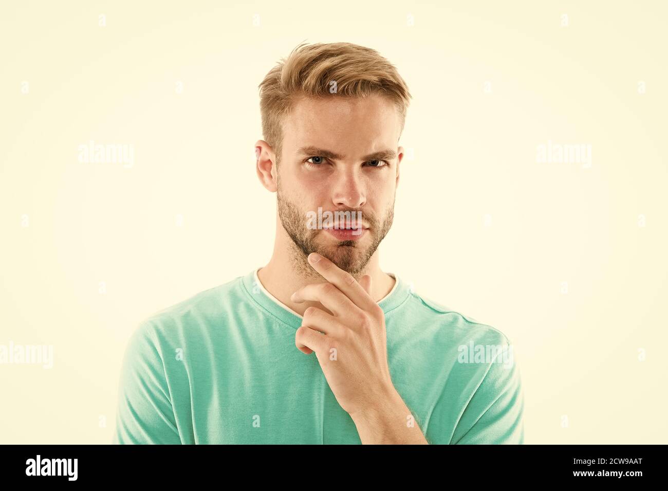 Beard grooming. Beard barber. Barbershop concept. Hairdresser salon ...